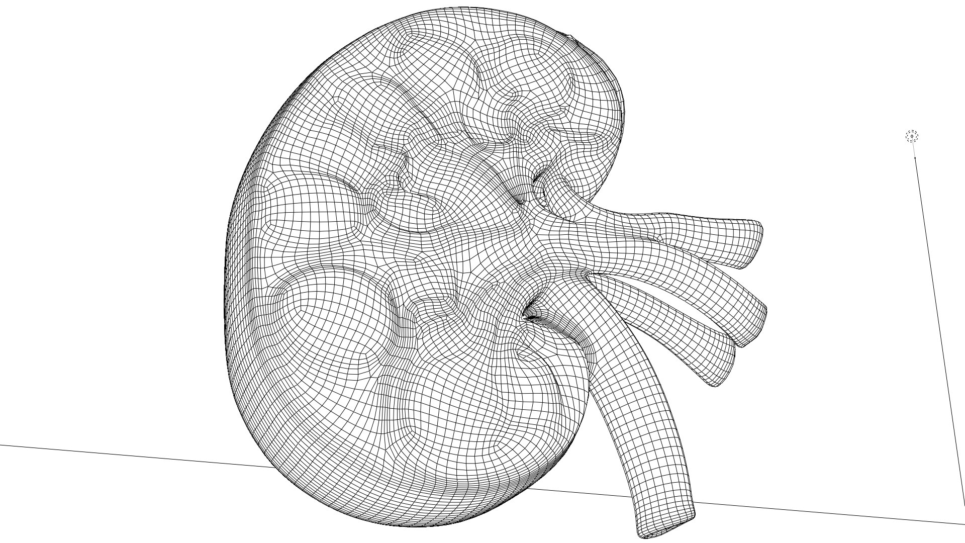 3D Realistic Human Organ Collection 3D Models - Heart ...