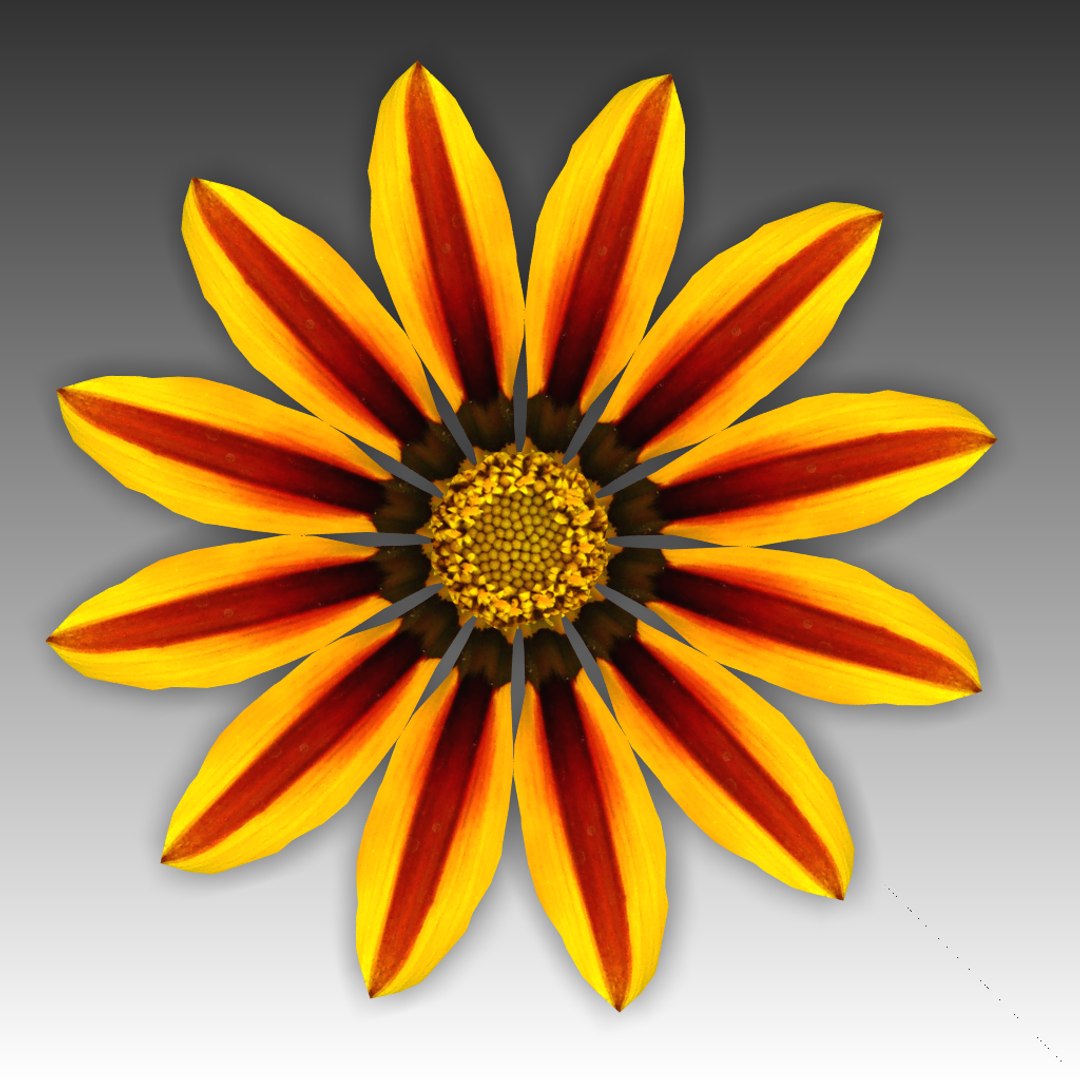 3d Model Flower