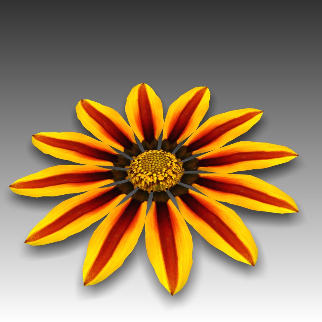 3d Model Flower