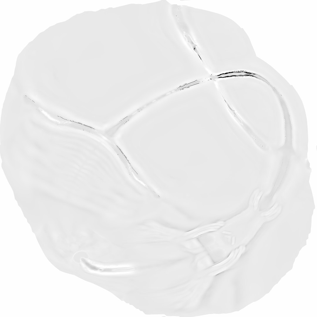 C4d Realistic Rat Brain