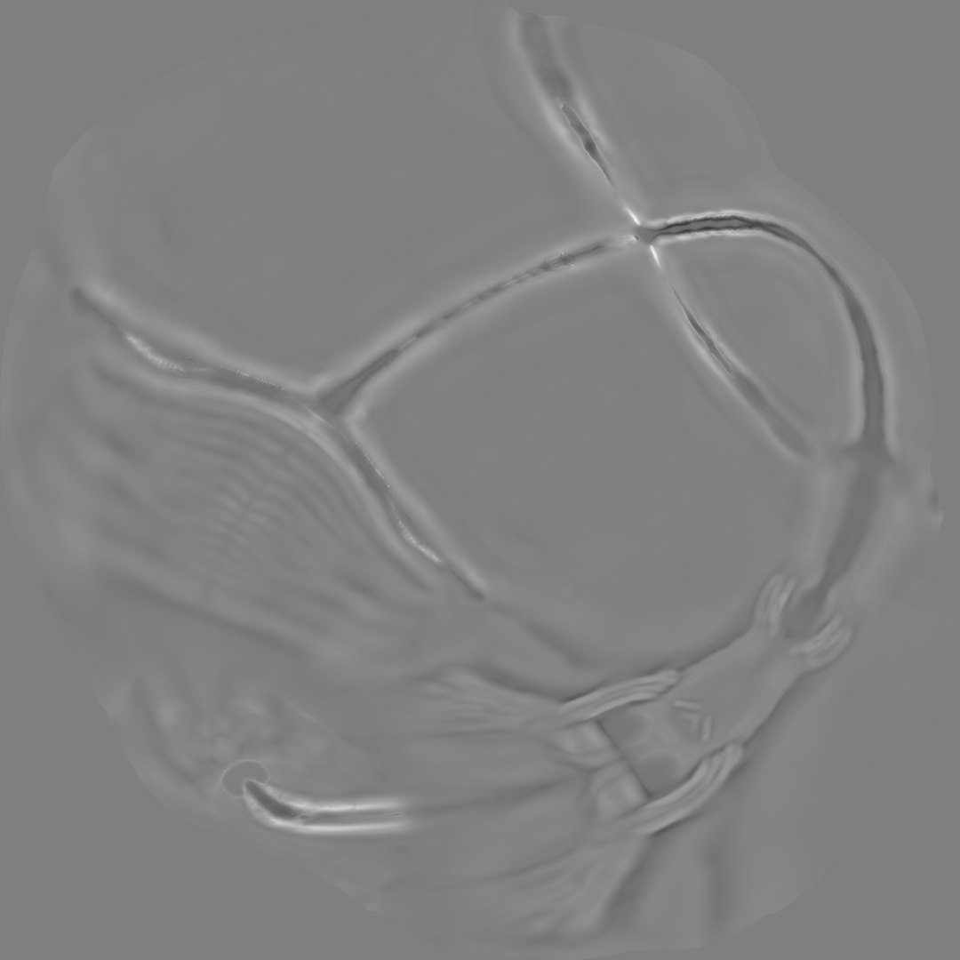 C4d Realistic Rat Brain