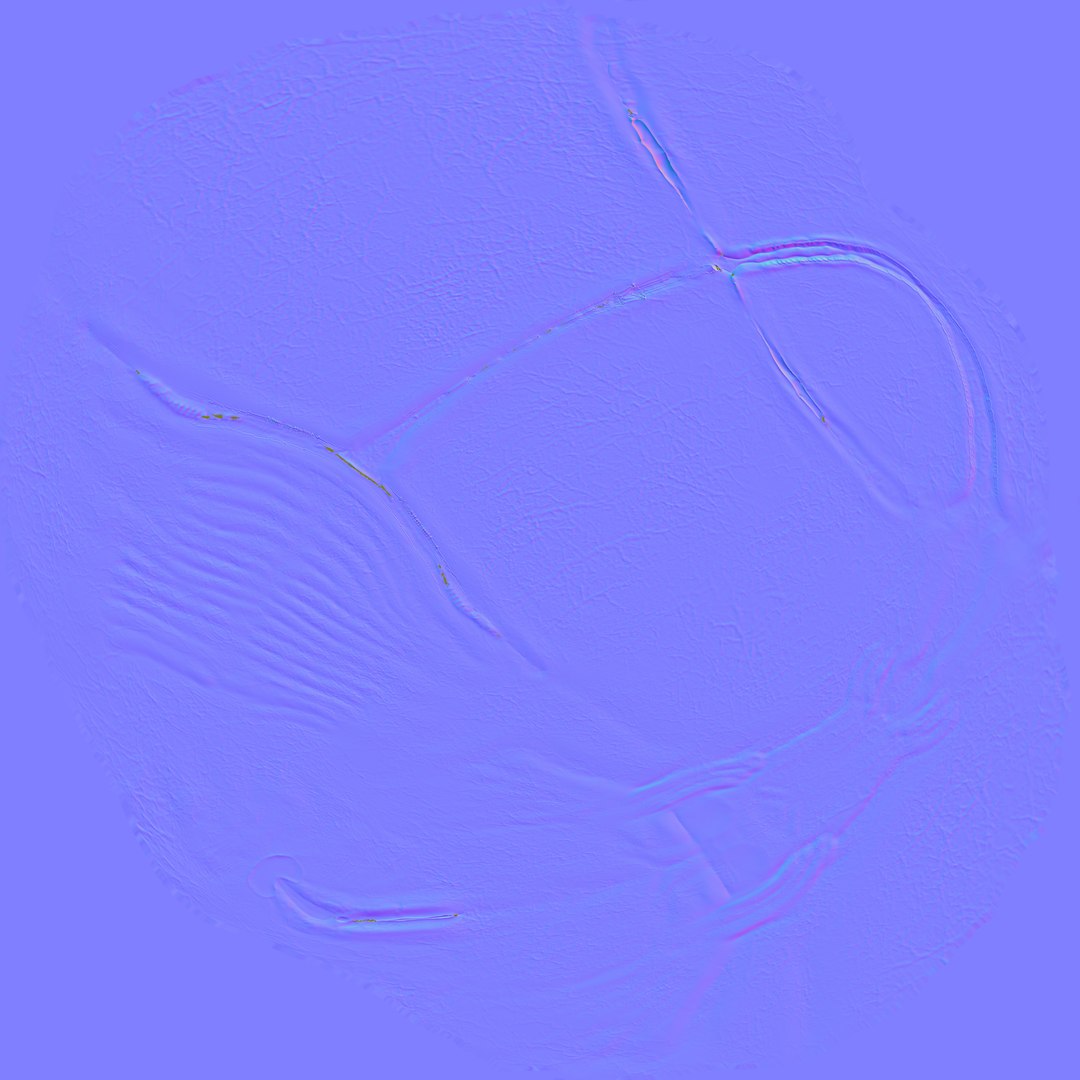 C4d Realistic Rat Brain