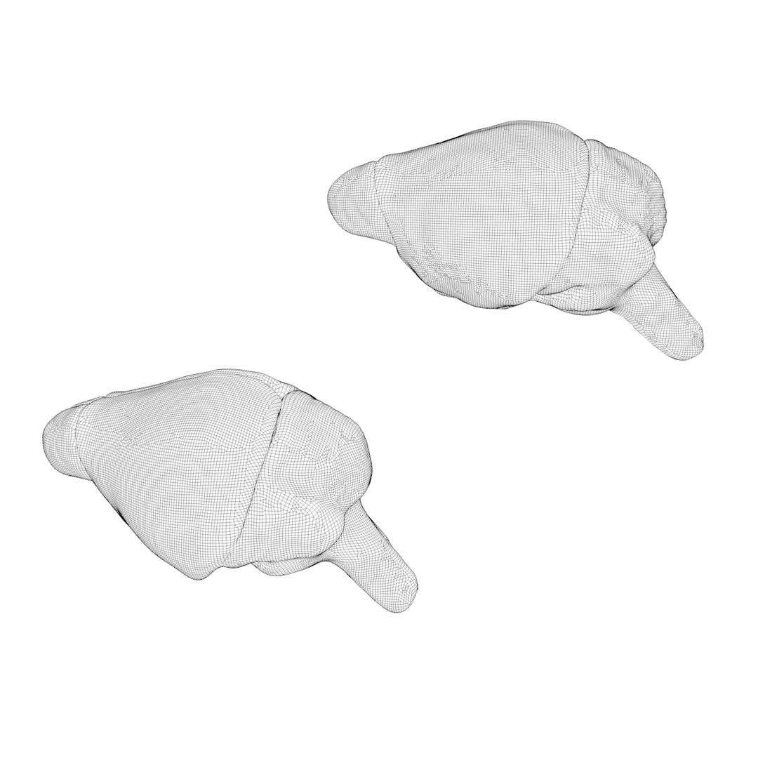 C4d Realistic Rat Brain