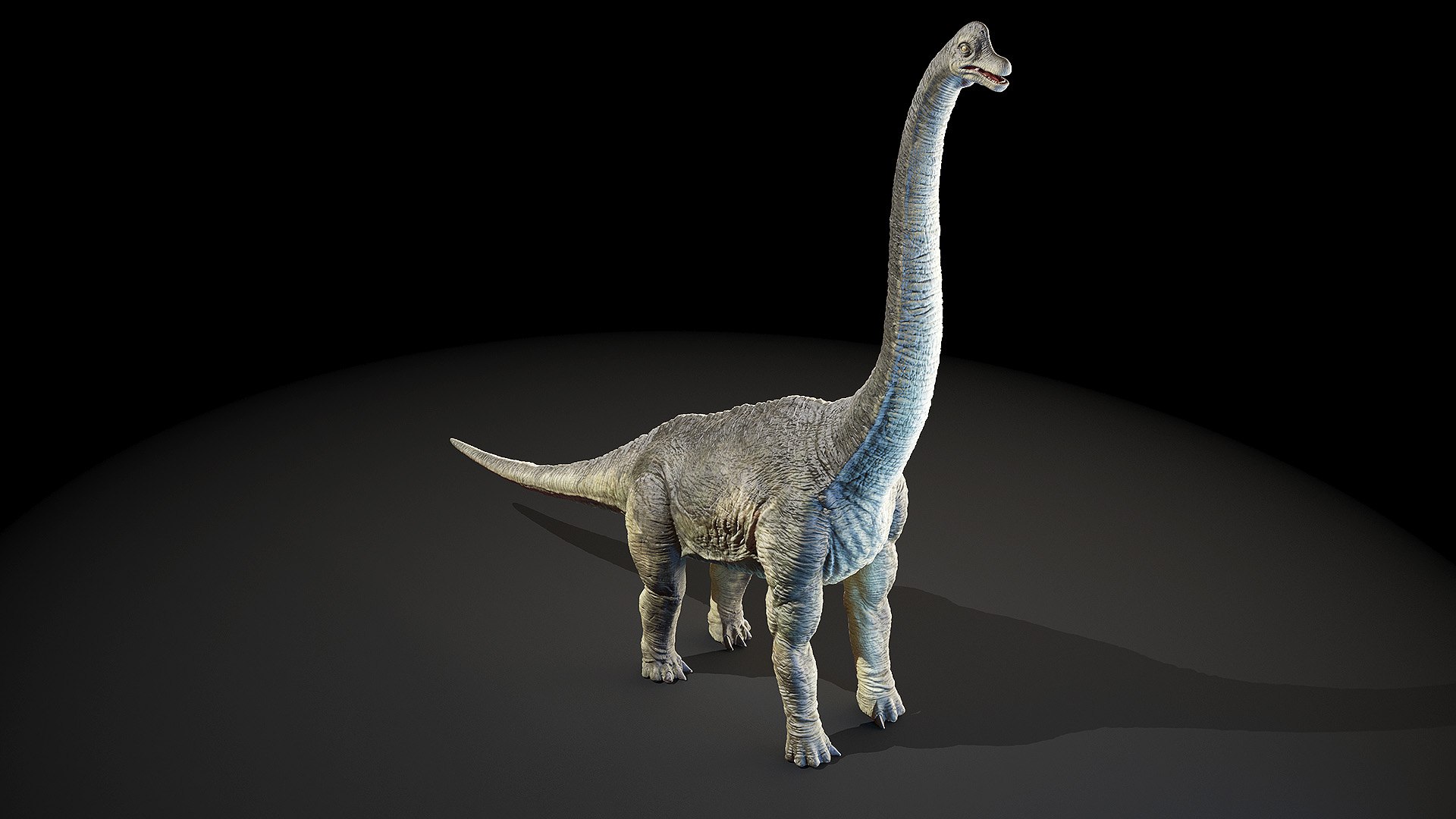 3D dinosaurs dinopack small model - TurboSquid 1681019