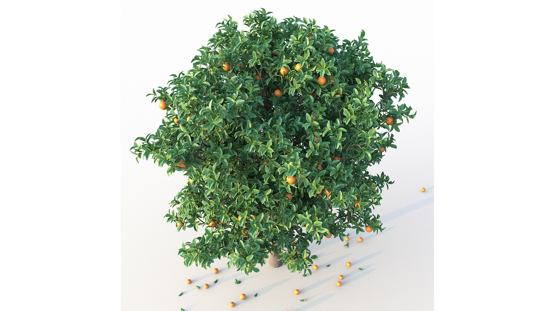 Orange Tree 3D - TurboSquid 2068128