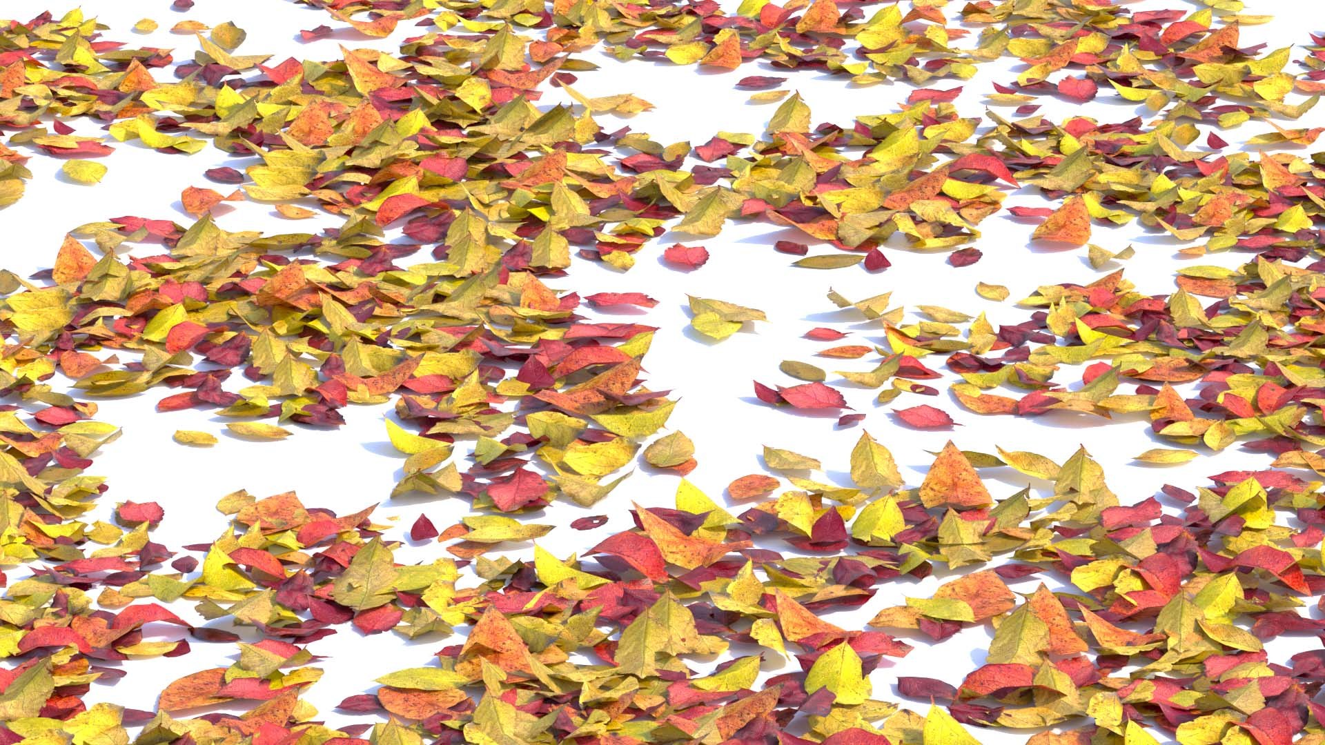 Autumn Leaves Set Of Dry Leaves 3D - TurboSquid 1992259