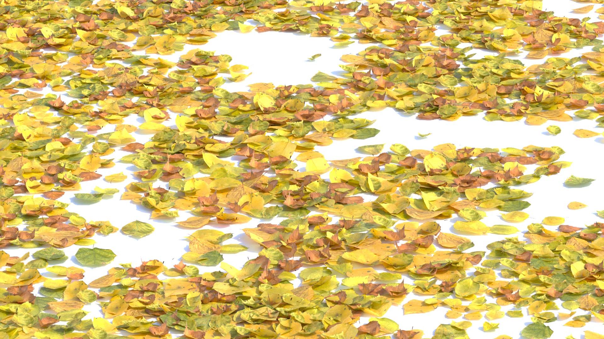 Autumn Leaves Set Of Dry Leaves 3D - TurboSquid 1992259