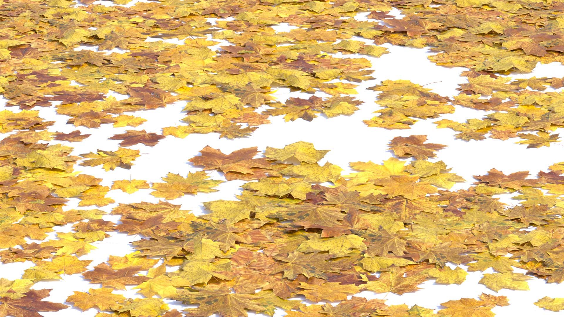 Autumn Leaves Set Of Dry Leaves 3D - TurboSquid 1992259