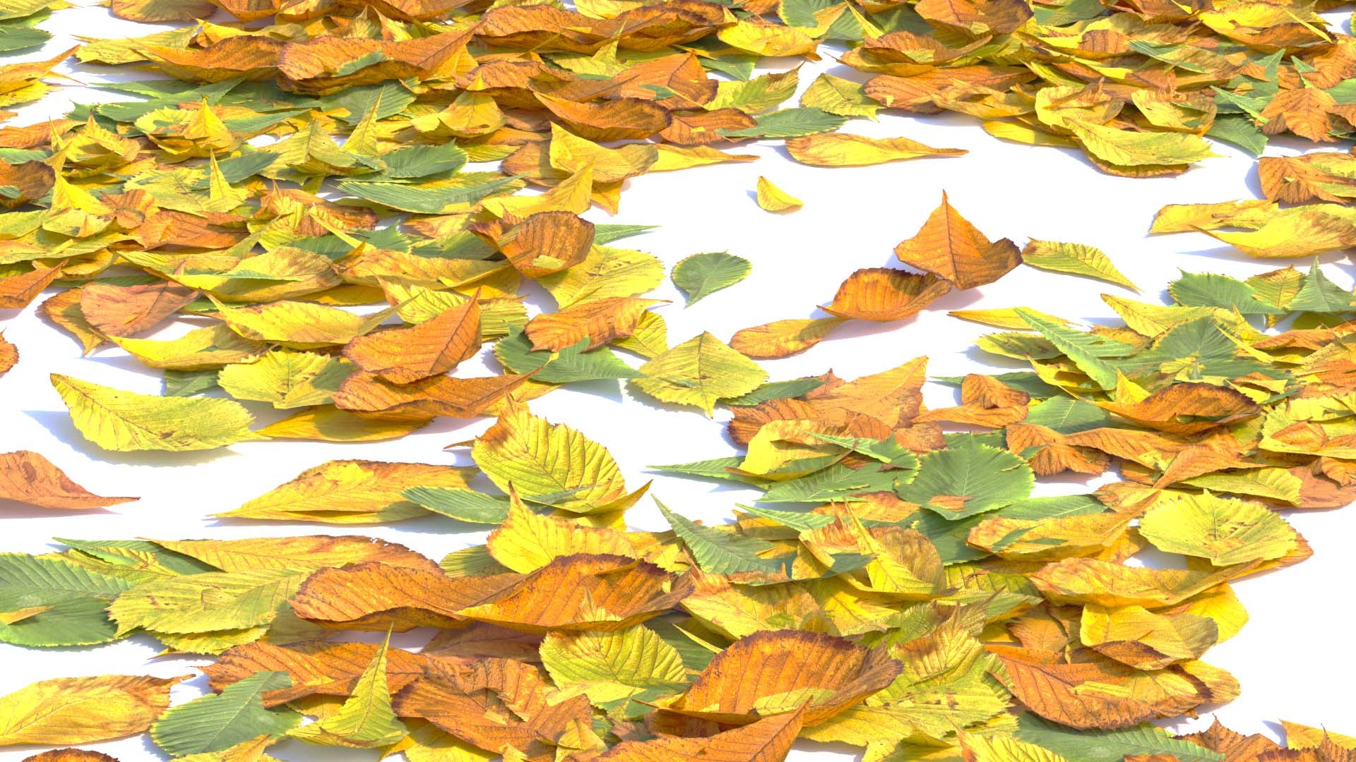 Autumn Leaves Set Of Dry Leaves 3D - TurboSquid 1992259