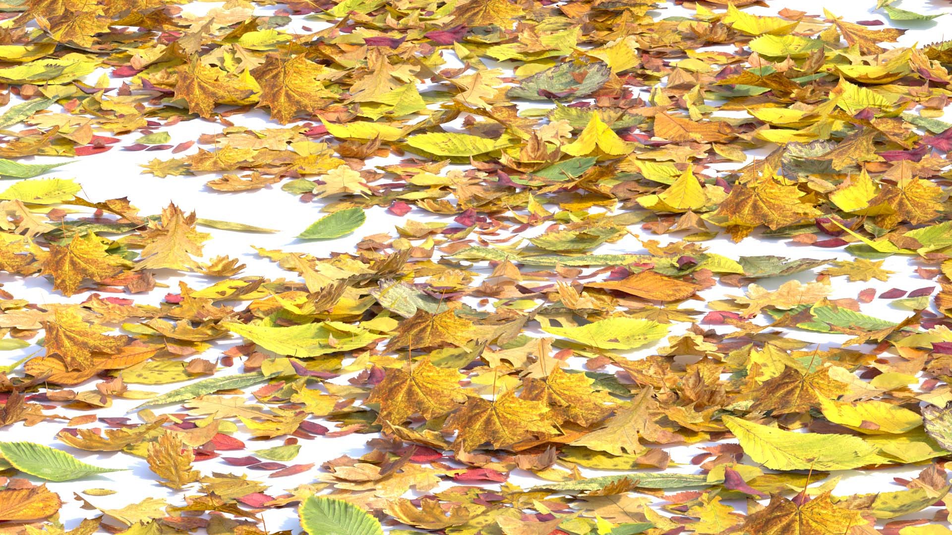 Autumn Leaves Set Of Dry Leaves 3D - TurboSquid 1992259