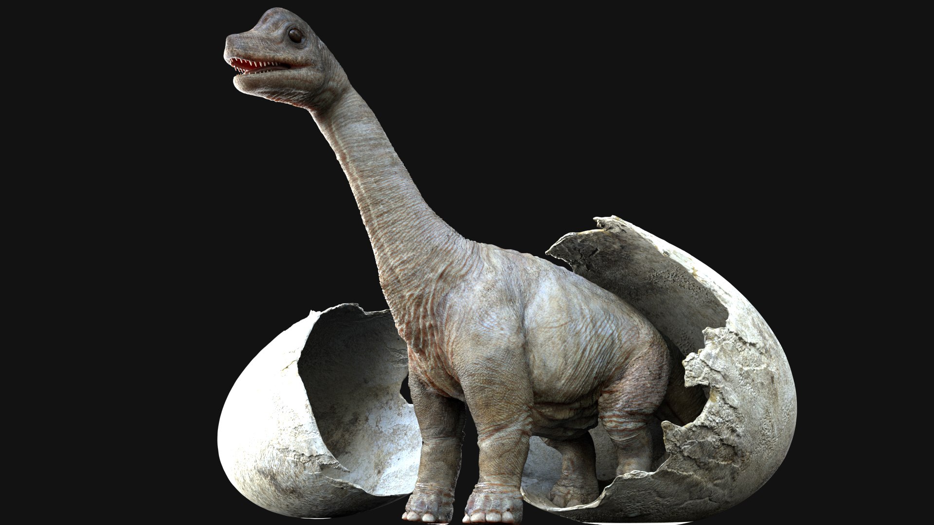 3D Brachiosaurus Rigged - TurboSquid 1484310