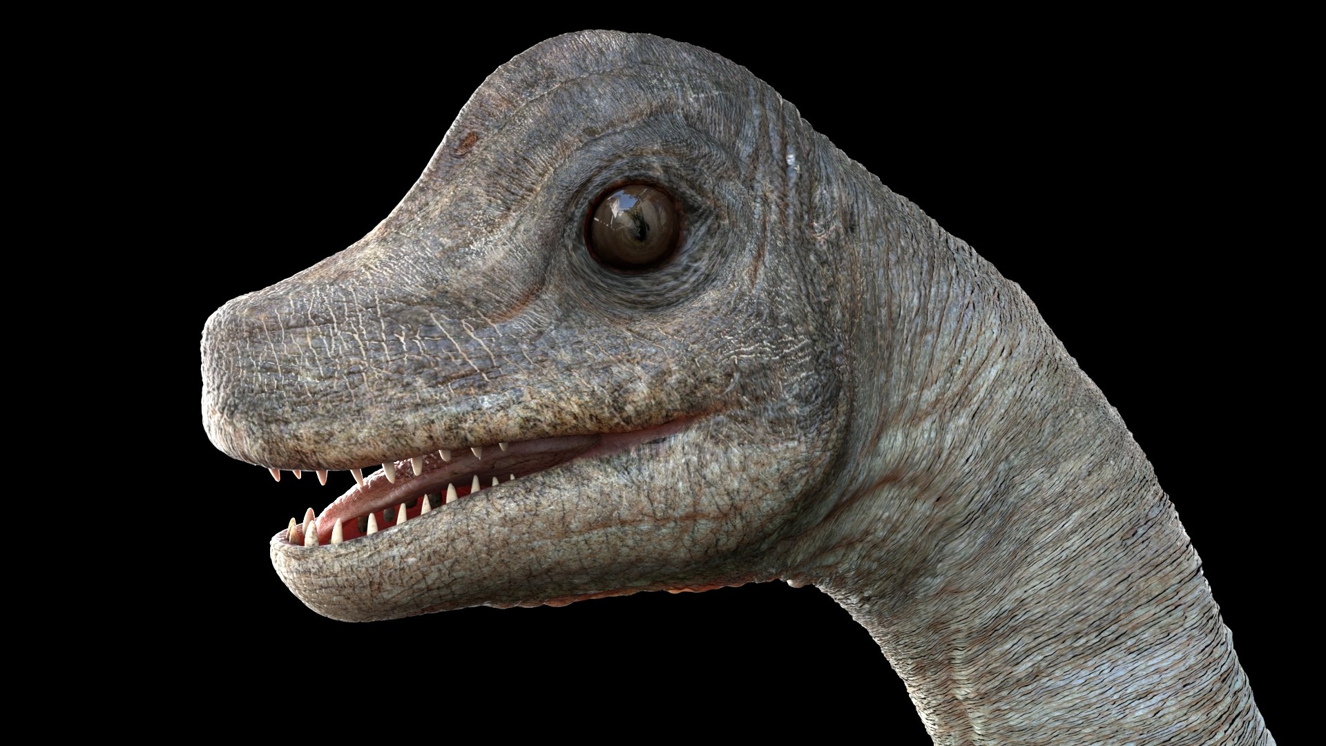 3D Brachiosaurus Rigged - TurboSquid 1484310