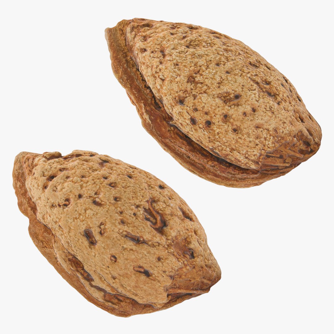 3D Almond Shell Collection - TurboSquid 2045559