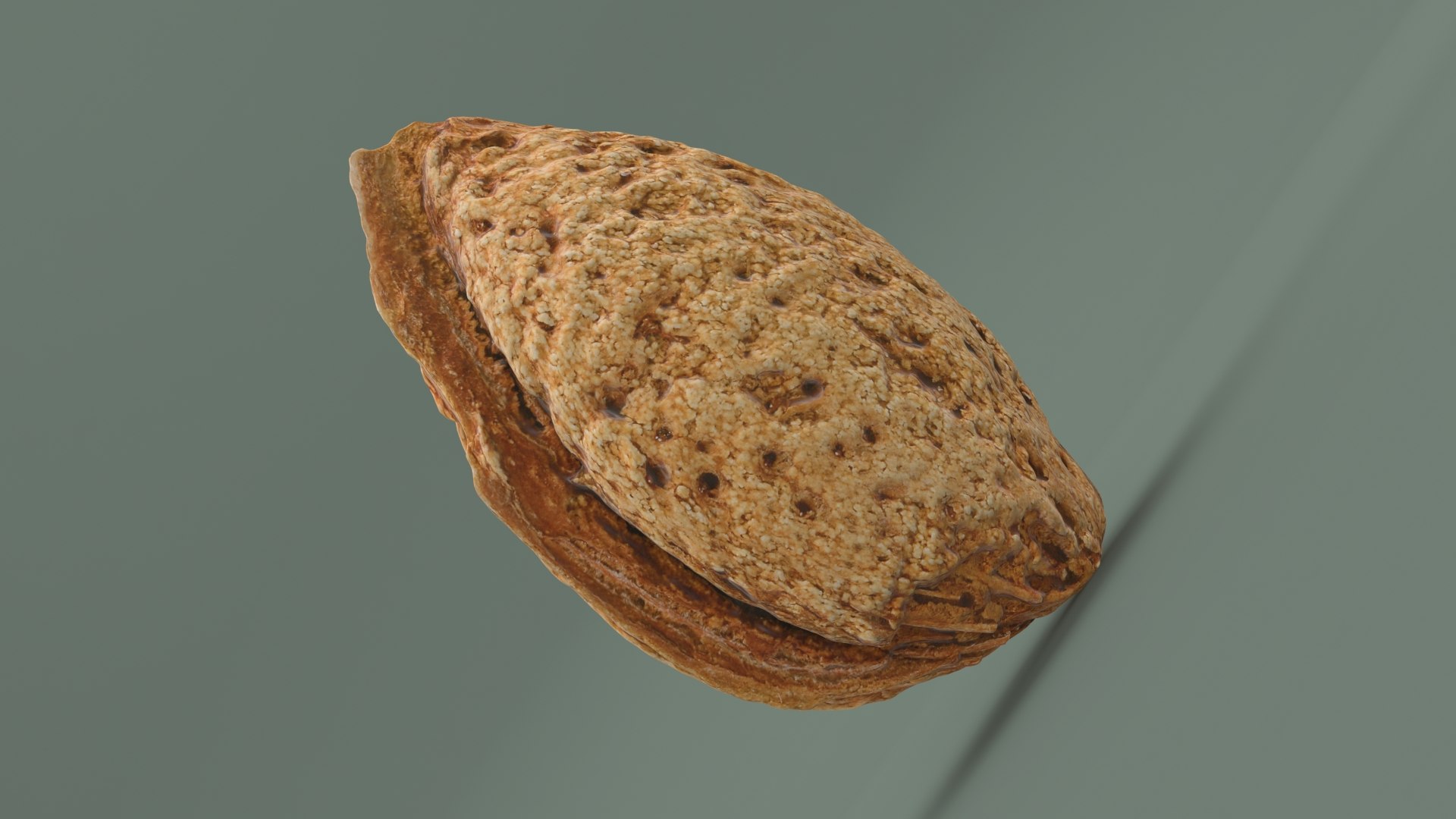 3D Almond Shell Collection - TurboSquid 2045559