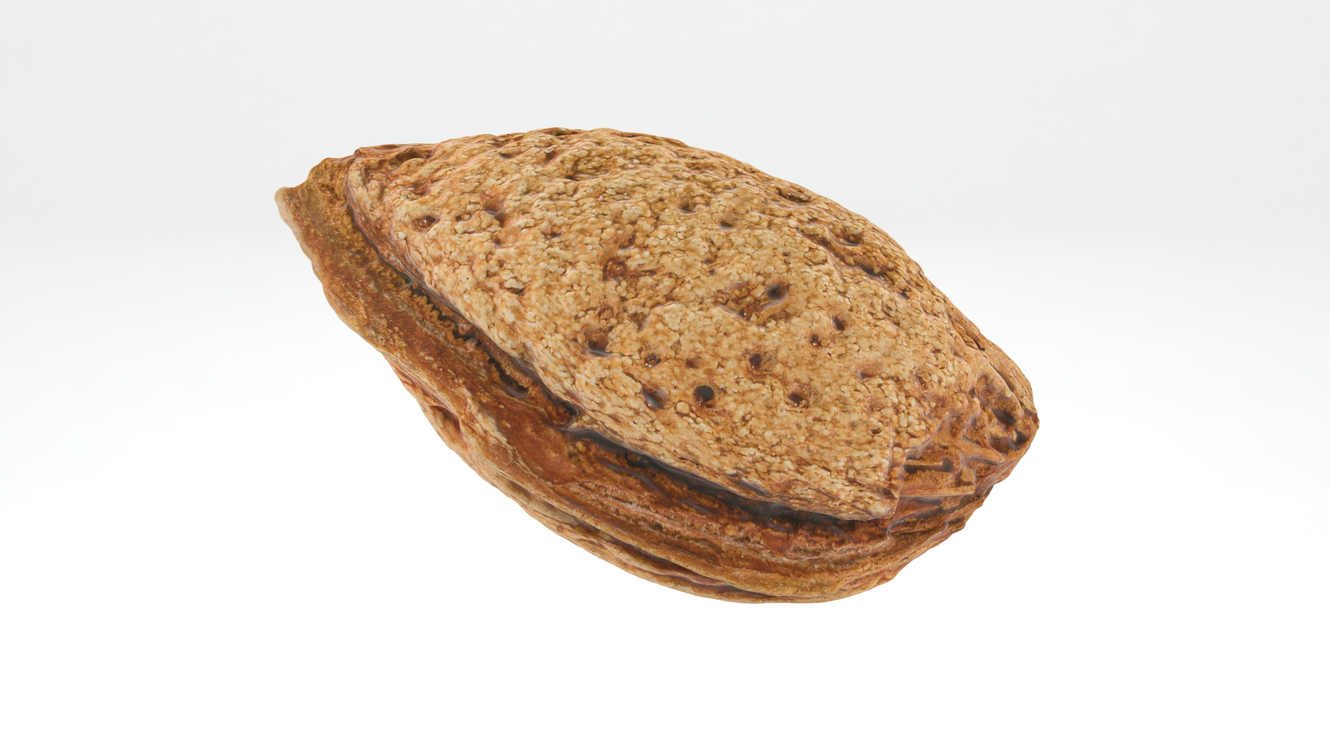 3D Almond Shell Collection - TurboSquid 2045559