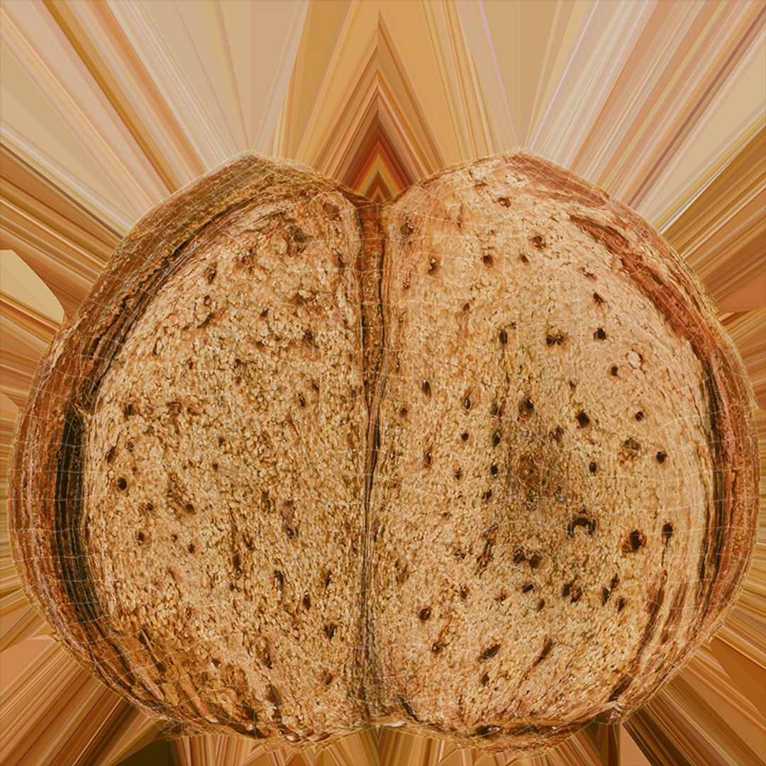 3D Almond Shell Collection - TurboSquid 2045559