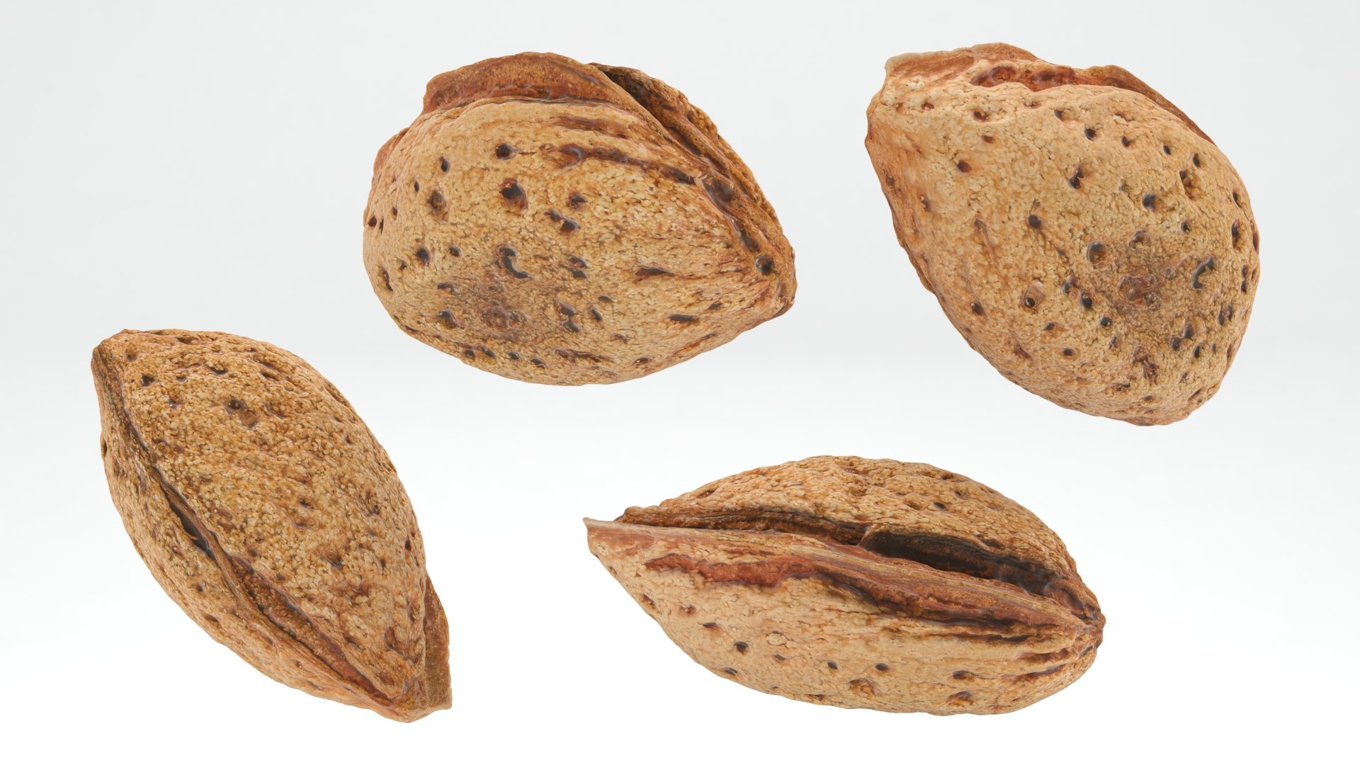 3D Almond Shell Collection - TurboSquid 2045559