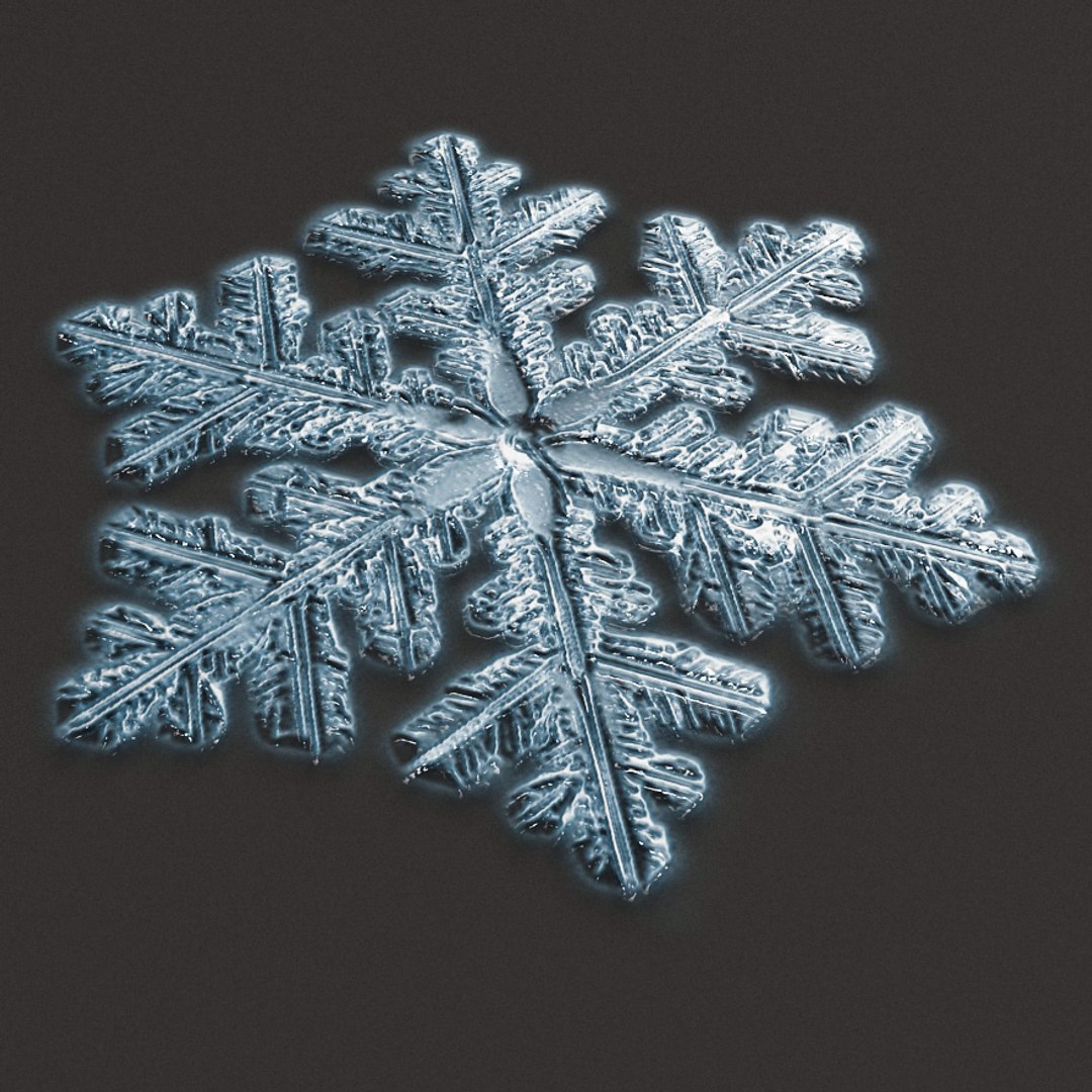 Snowflake V7 3d Model