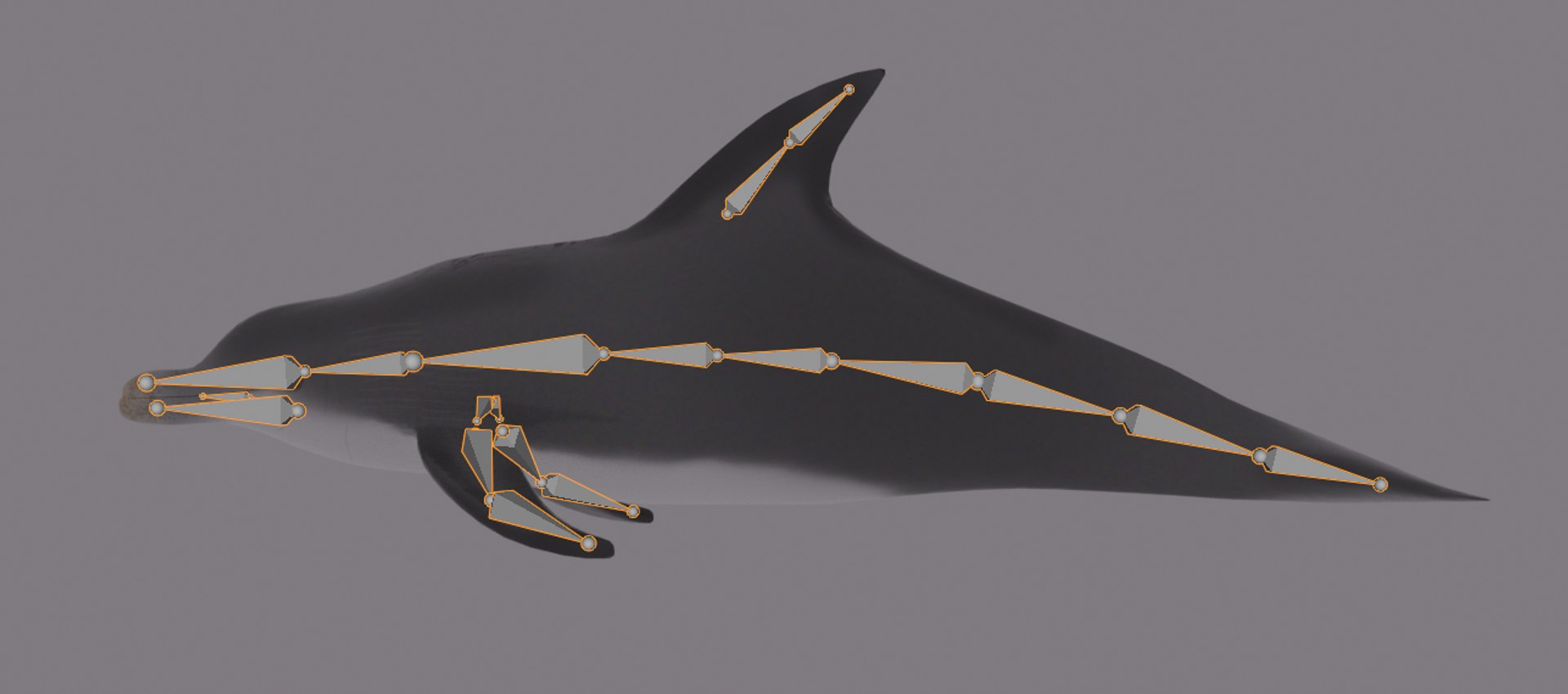 3D Model DOLPHIN LOW-POLY 3D MODEL - TurboSquid 2009489