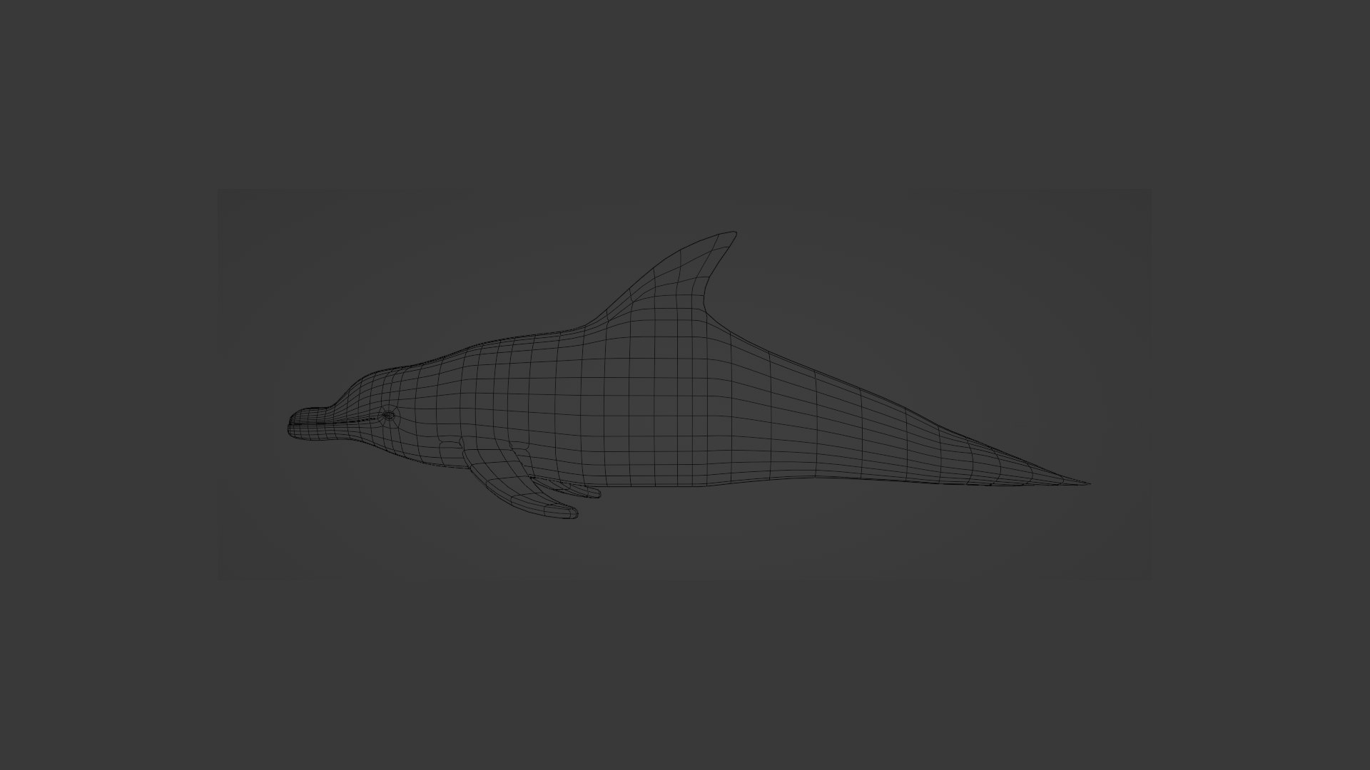 3D Model DOLPHIN LOW-POLY 3D MODEL - TurboSquid 2009489