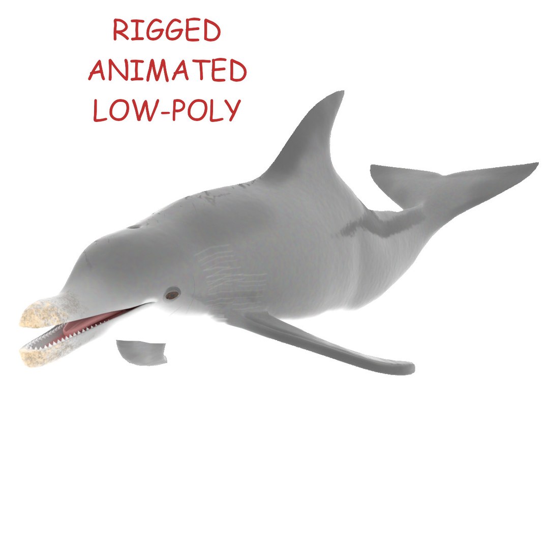 3D Model DOLPHIN LOW-POLY 3D MODEL - TurboSquid 2009489