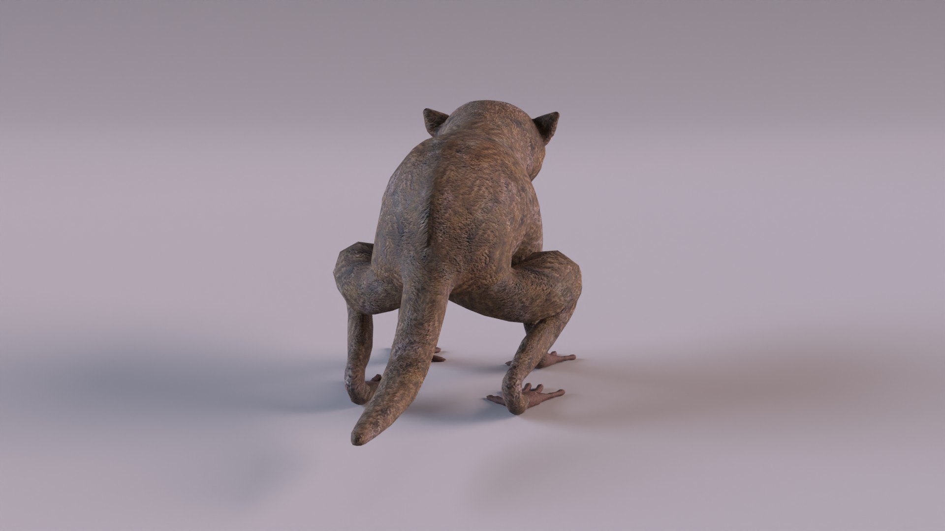 Tarsier 3D Model - TurboSquid 1727915