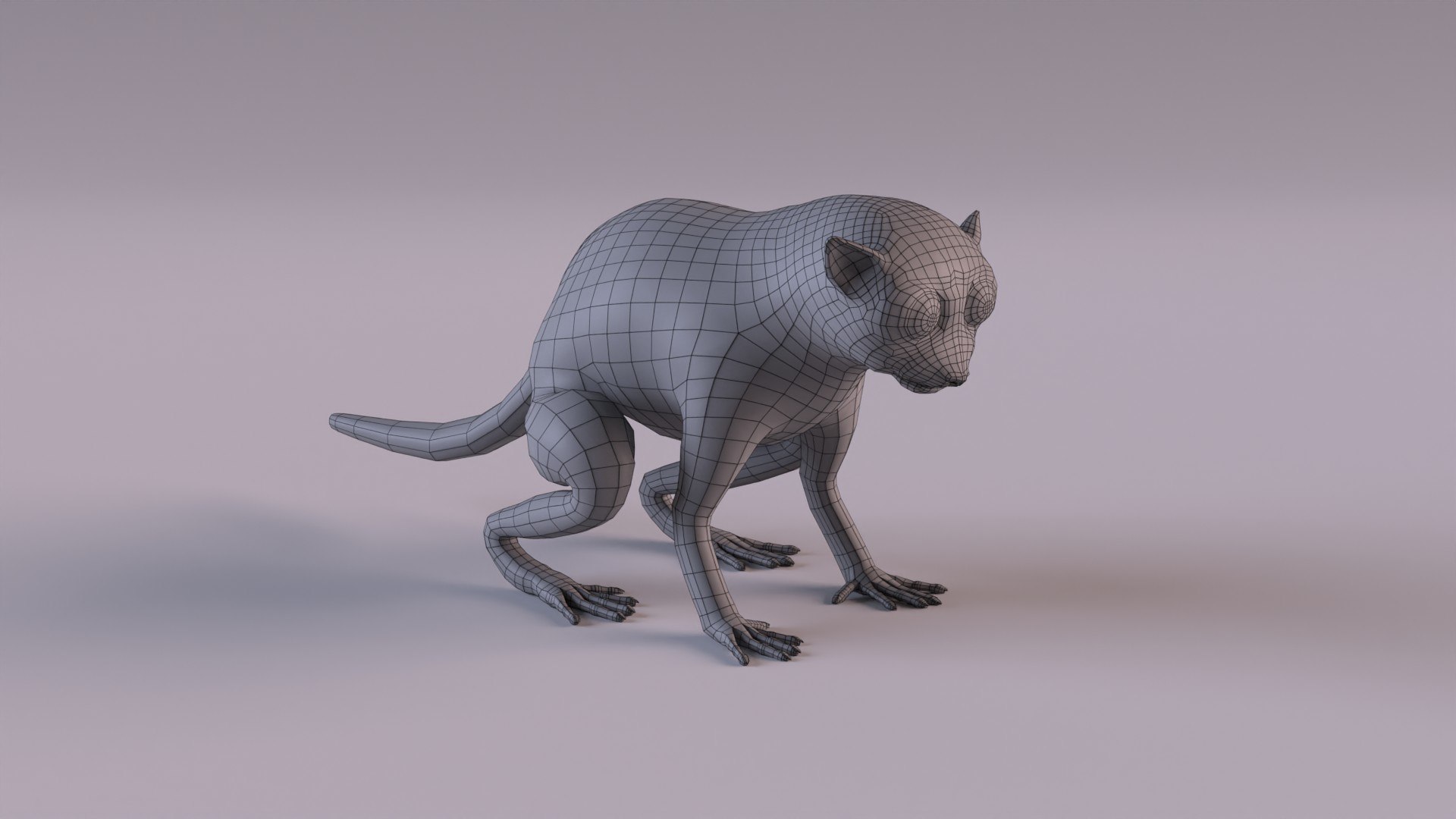 Tarsier 3D Model - TurboSquid 1727915