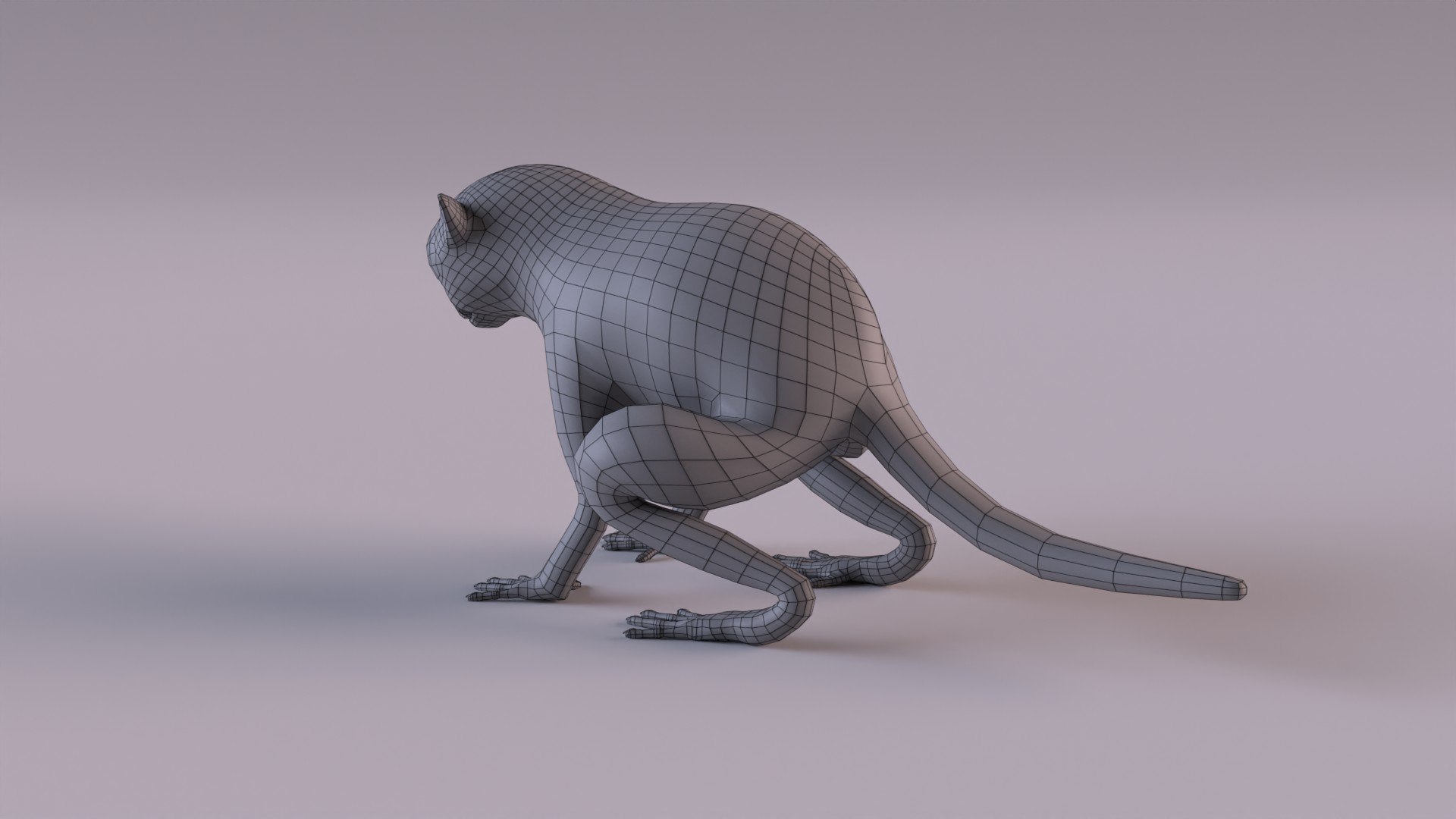 Tarsier 3D Model - TurboSquid 1727915