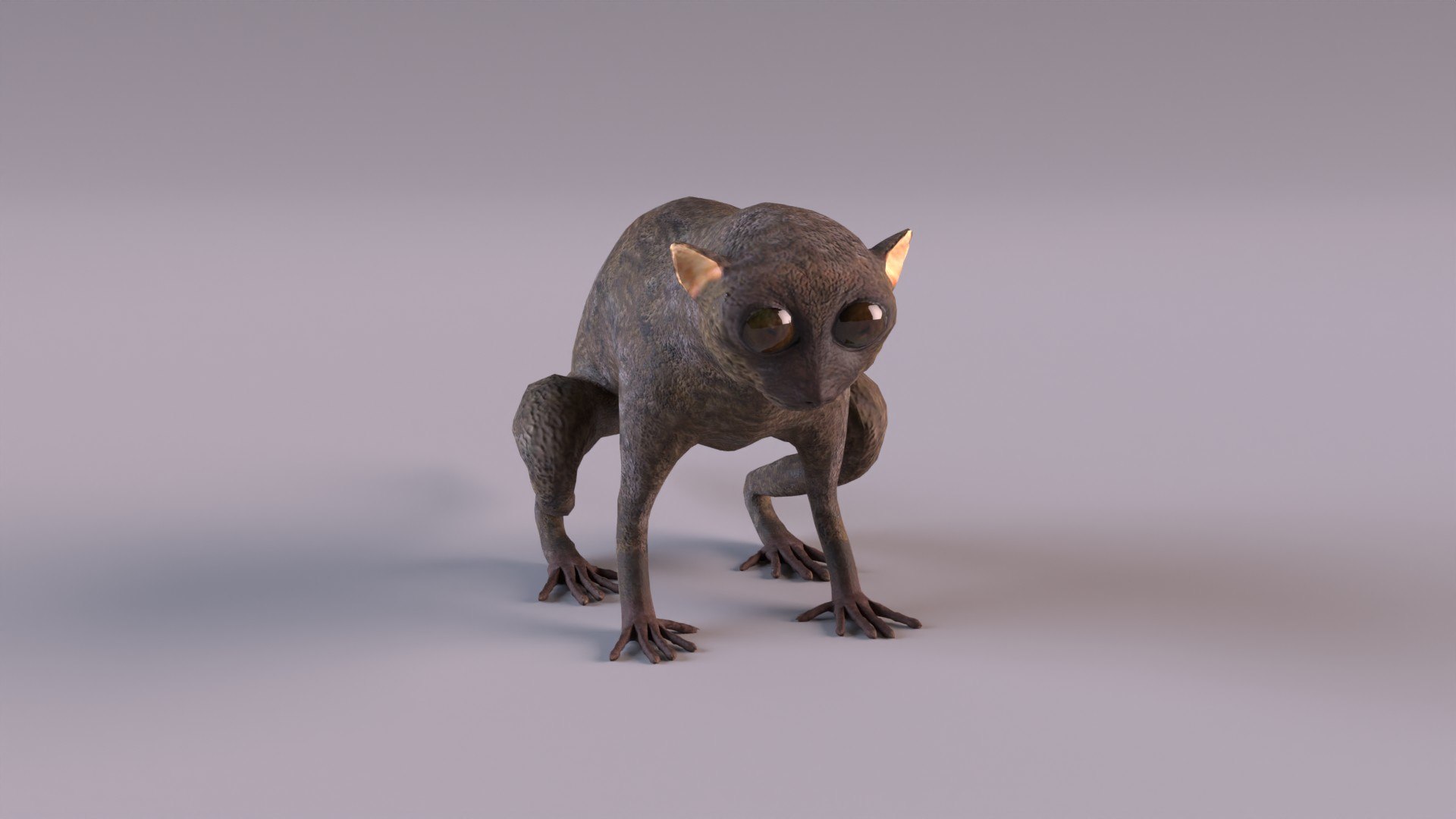 Tarsier 3D Model - TurboSquid 1727915