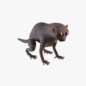 3D Tarsier Models - Browse & Download Formats - TurboSquid