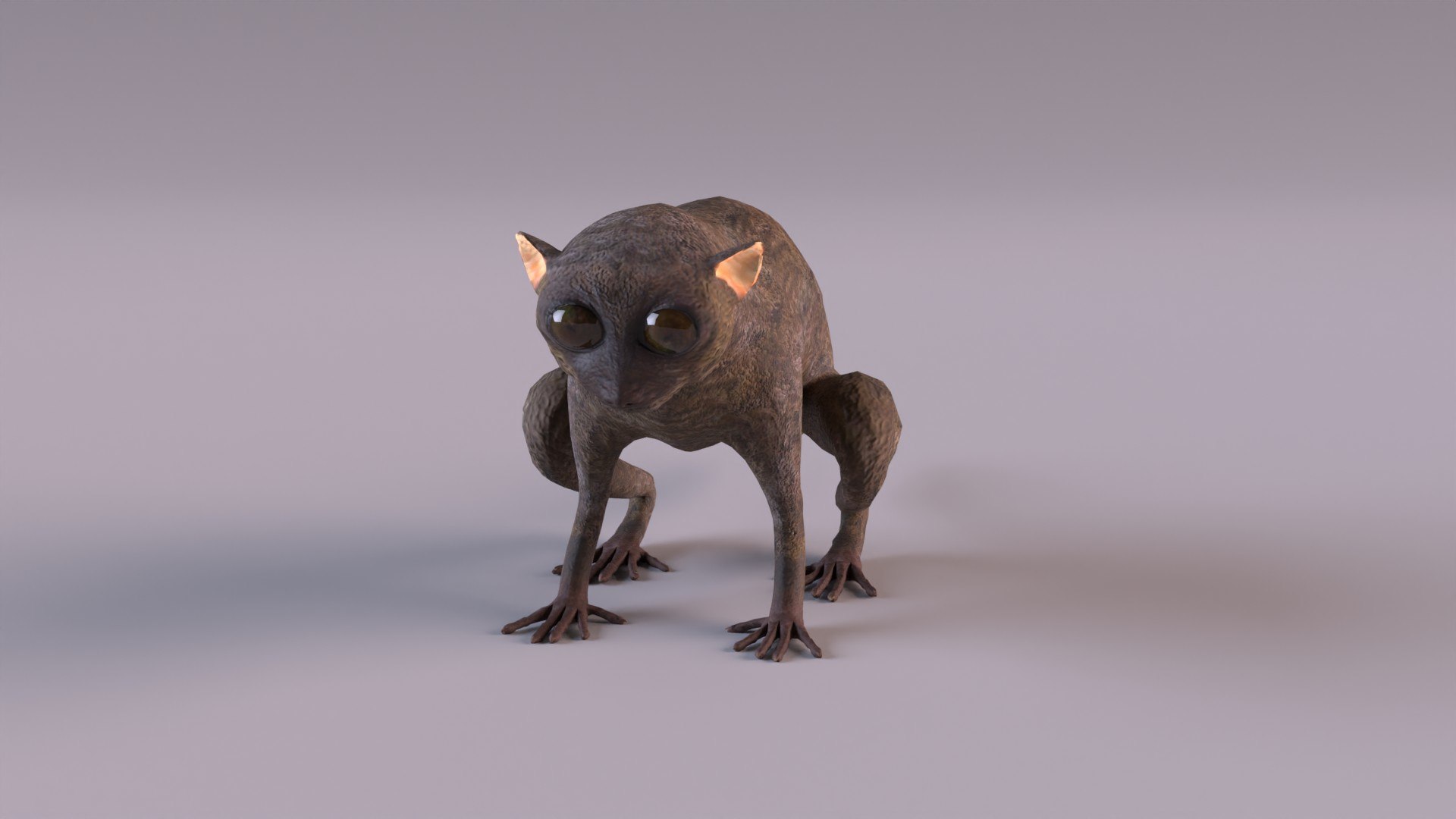 Tarsier 3D Model - TurboSquid 1727915