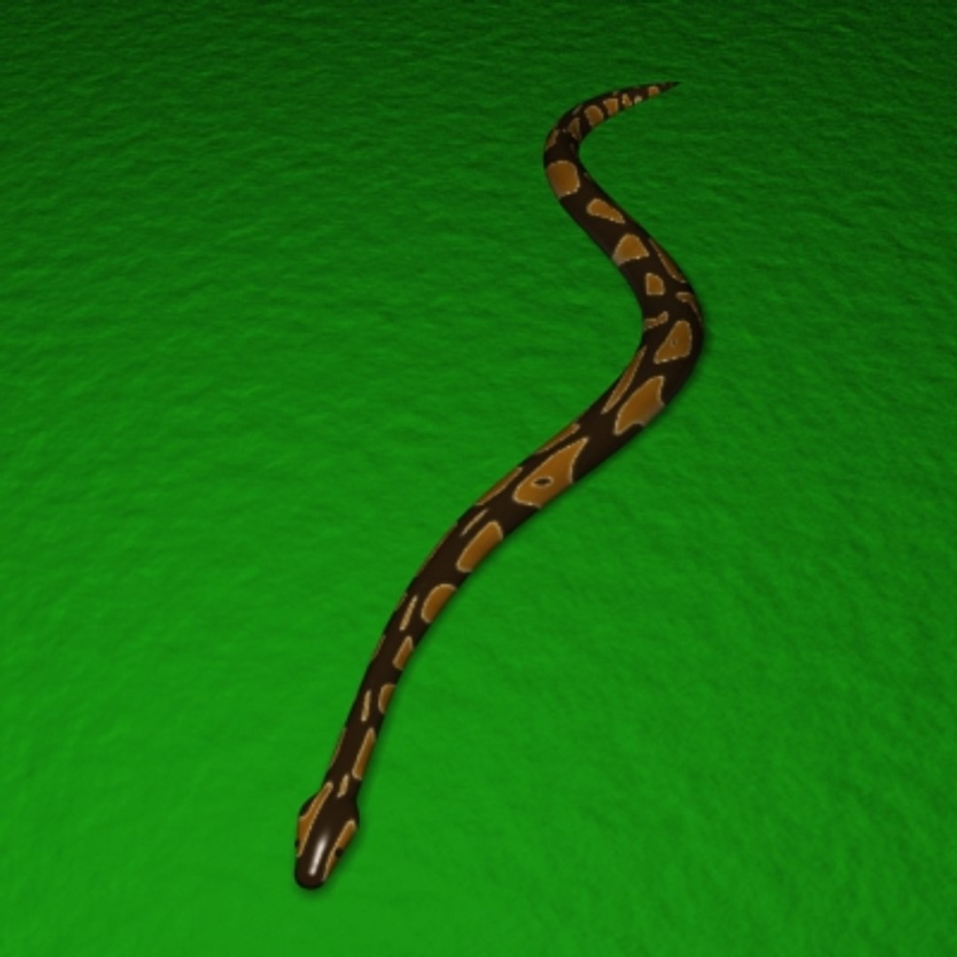 3d Ball Python Snake