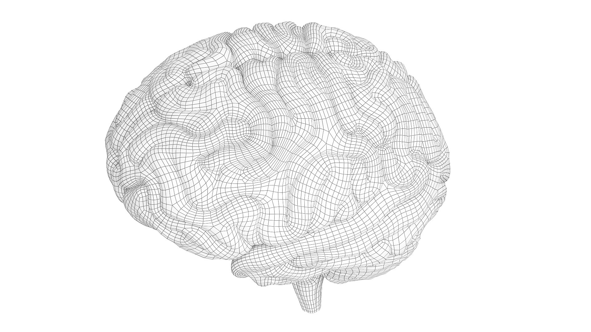 3D Human Brain - TurboSquid 2216674