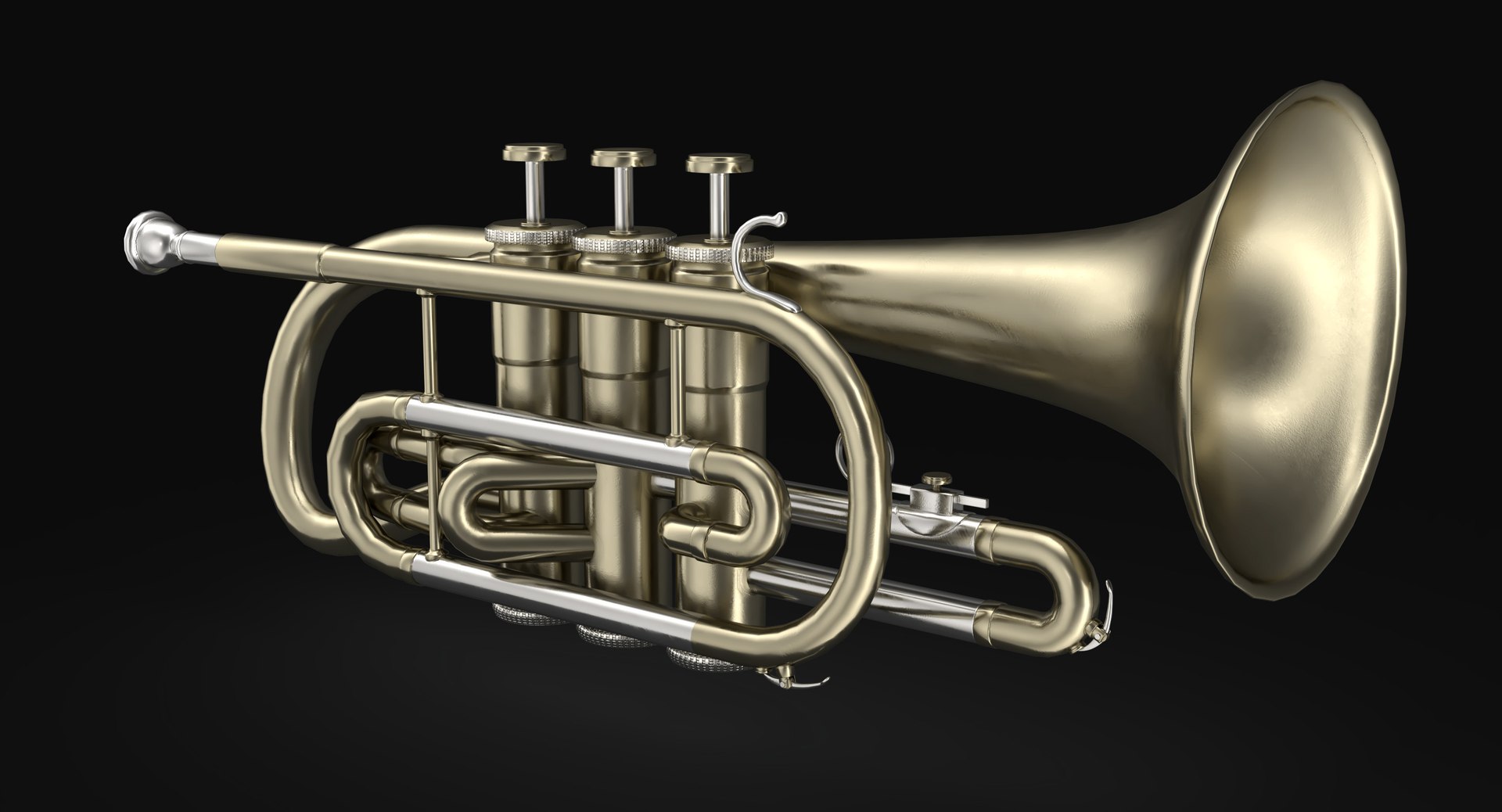 Cornet 3D Model - TurboSquid 2136185