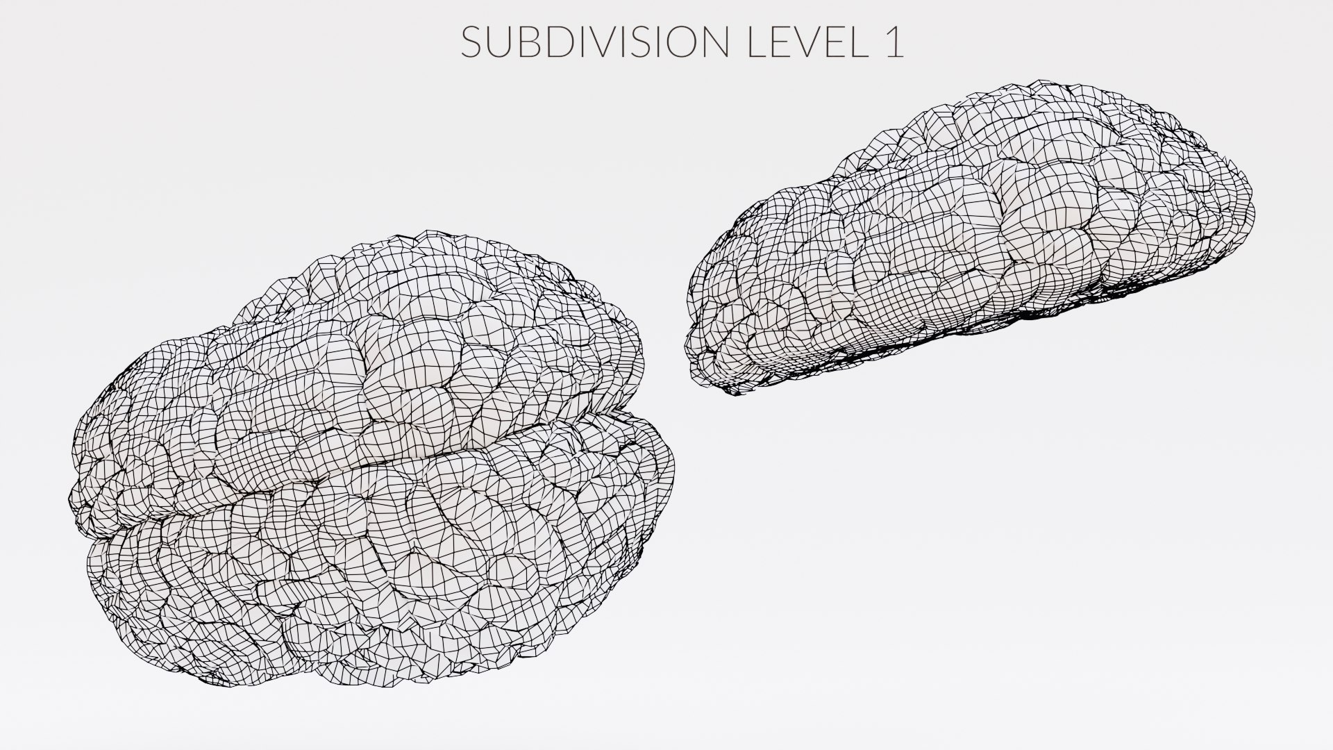 Plastic Brains 3D - TurboSquid 2023515