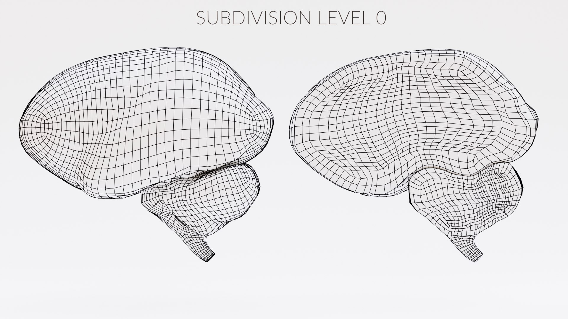 Plastic Brains 3D - TurboSquid 2023515