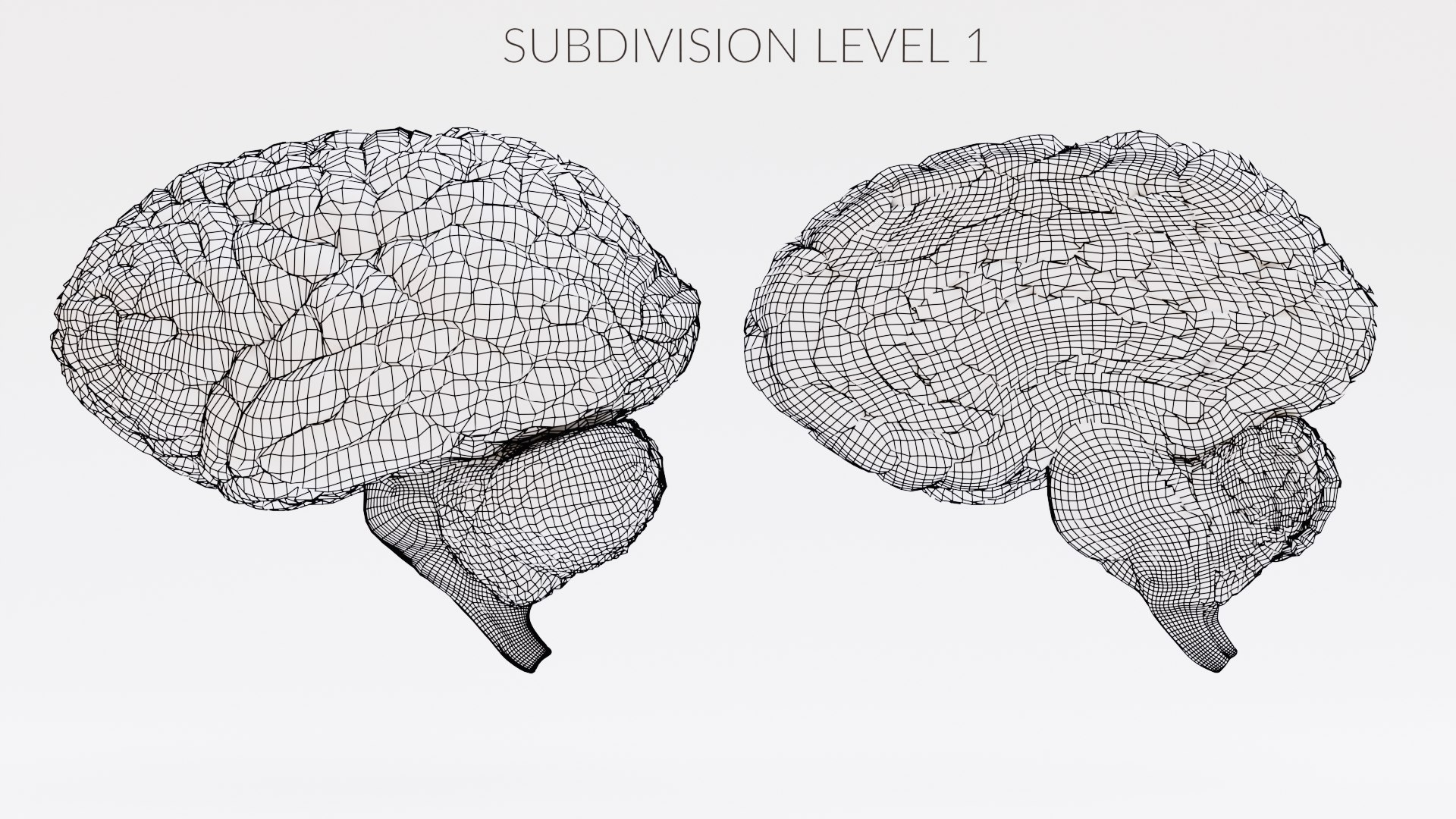 Plastic Brains 3D - TurboSquid 2023515