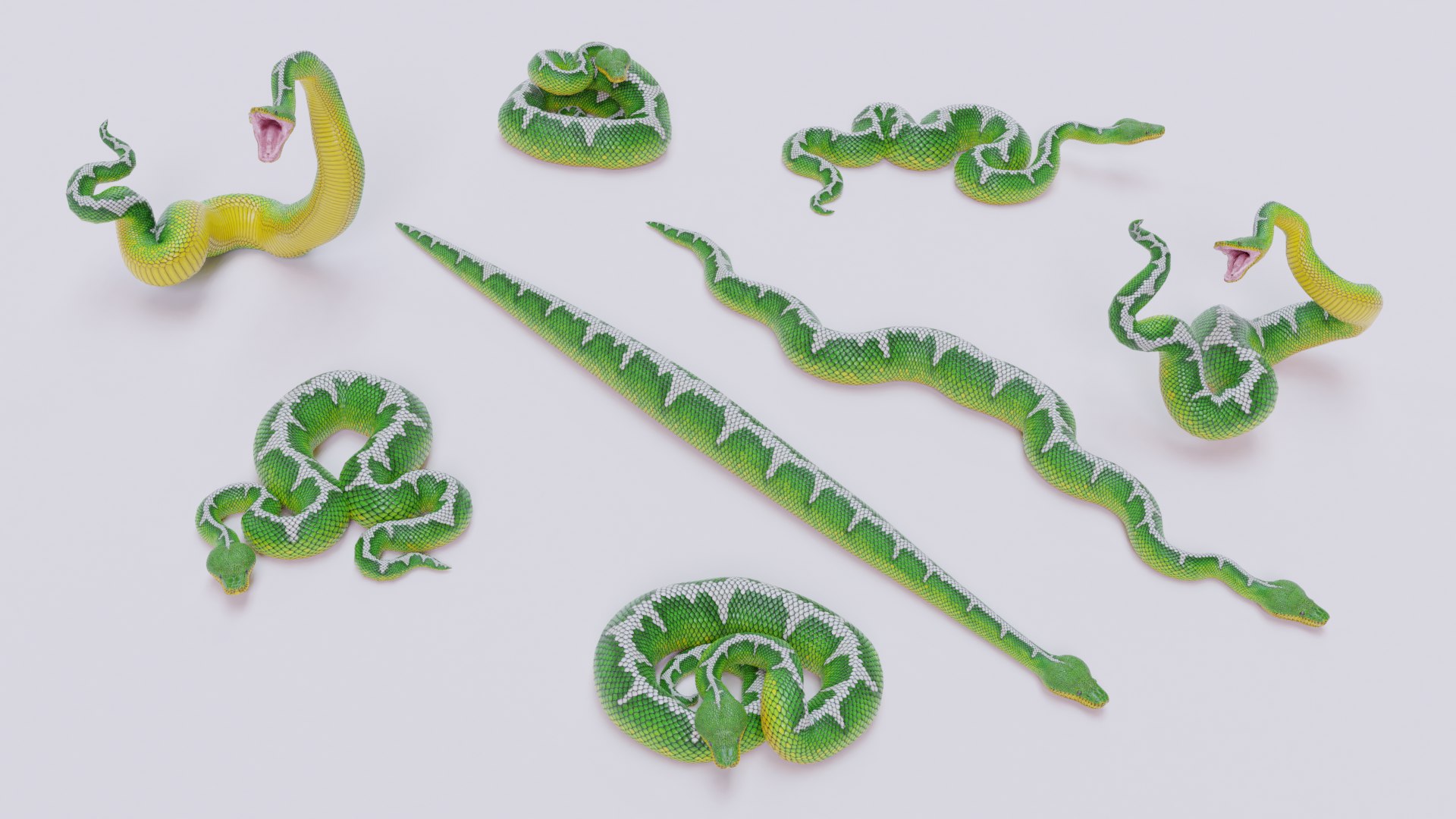 3D Model Emerald Tree Boa - 3D Mesh - TurboSquid 1775717