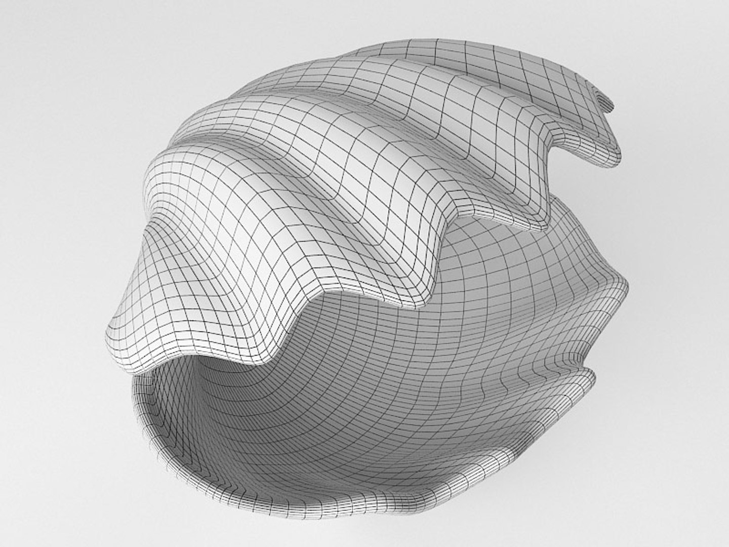 Tridacna Seashell 3d Model