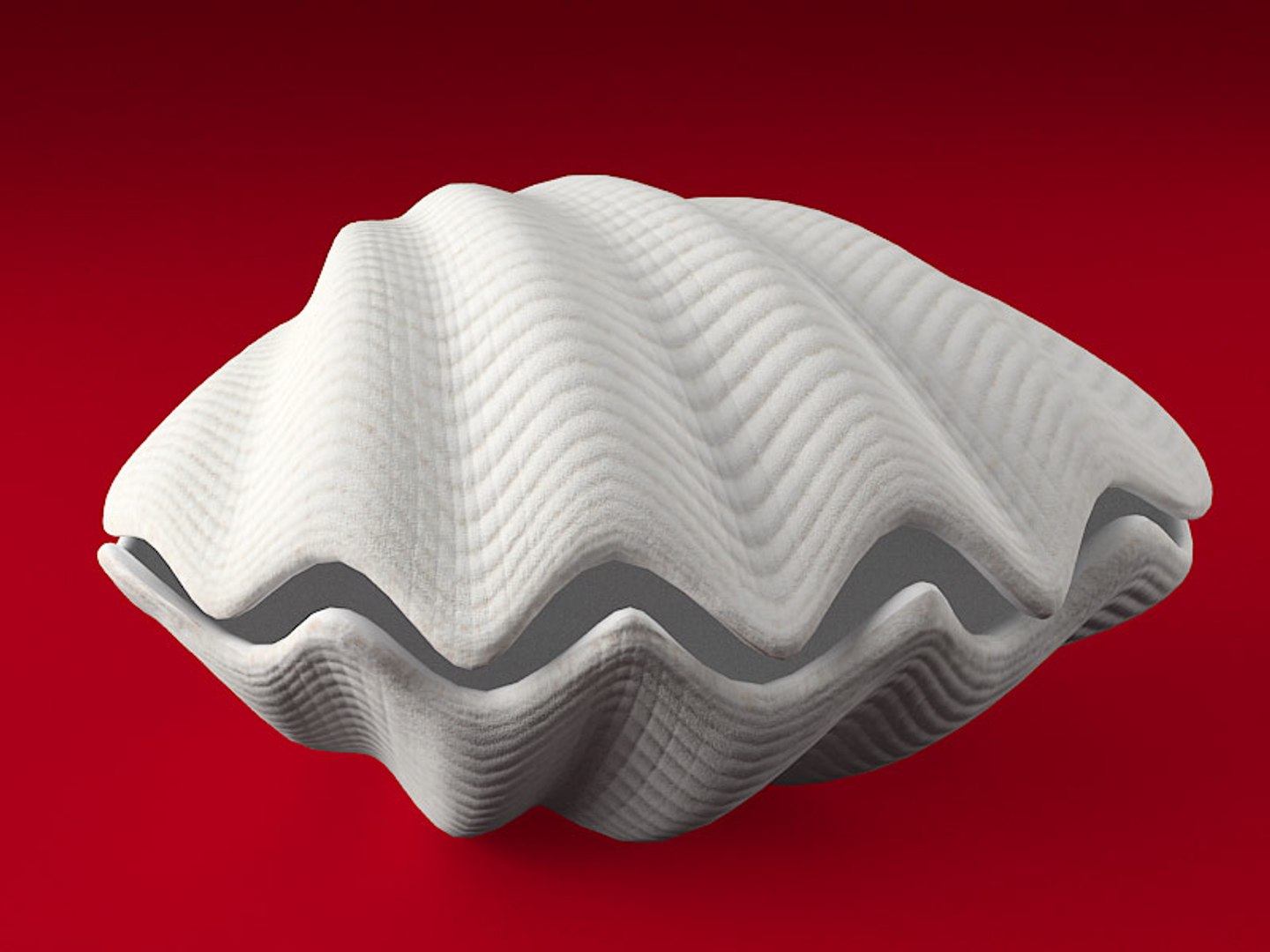 Tridacna Seashell 3d Model