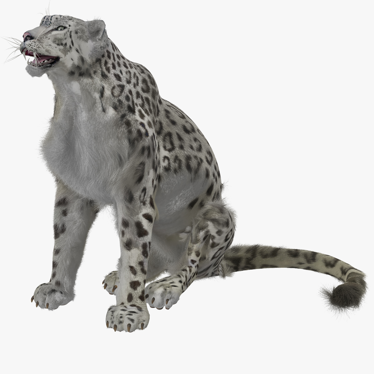 3ds max snow leopard pose