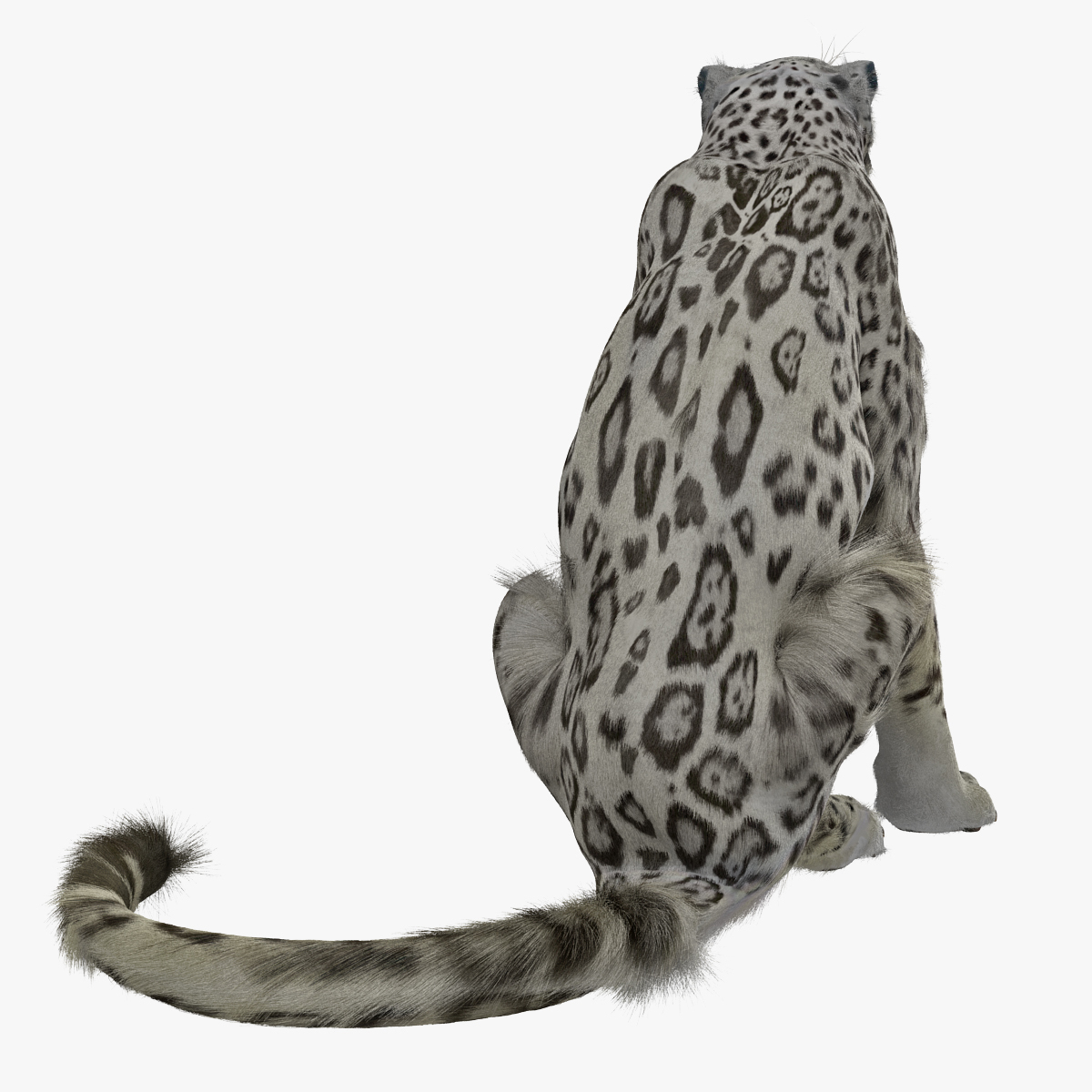 3ds max snow leopard pose