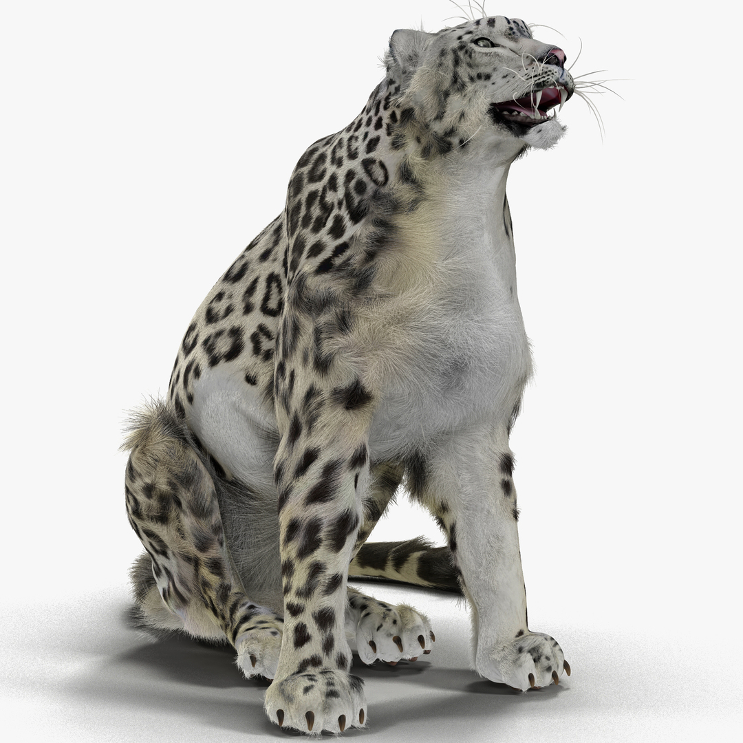 3ds max snow leopard pose
