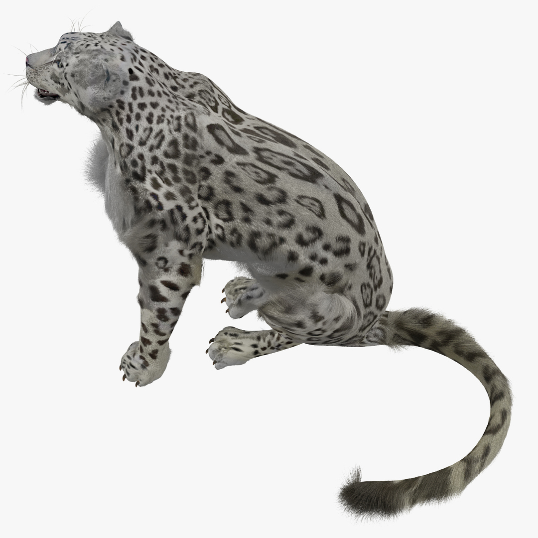 3ds max snow leopard pose