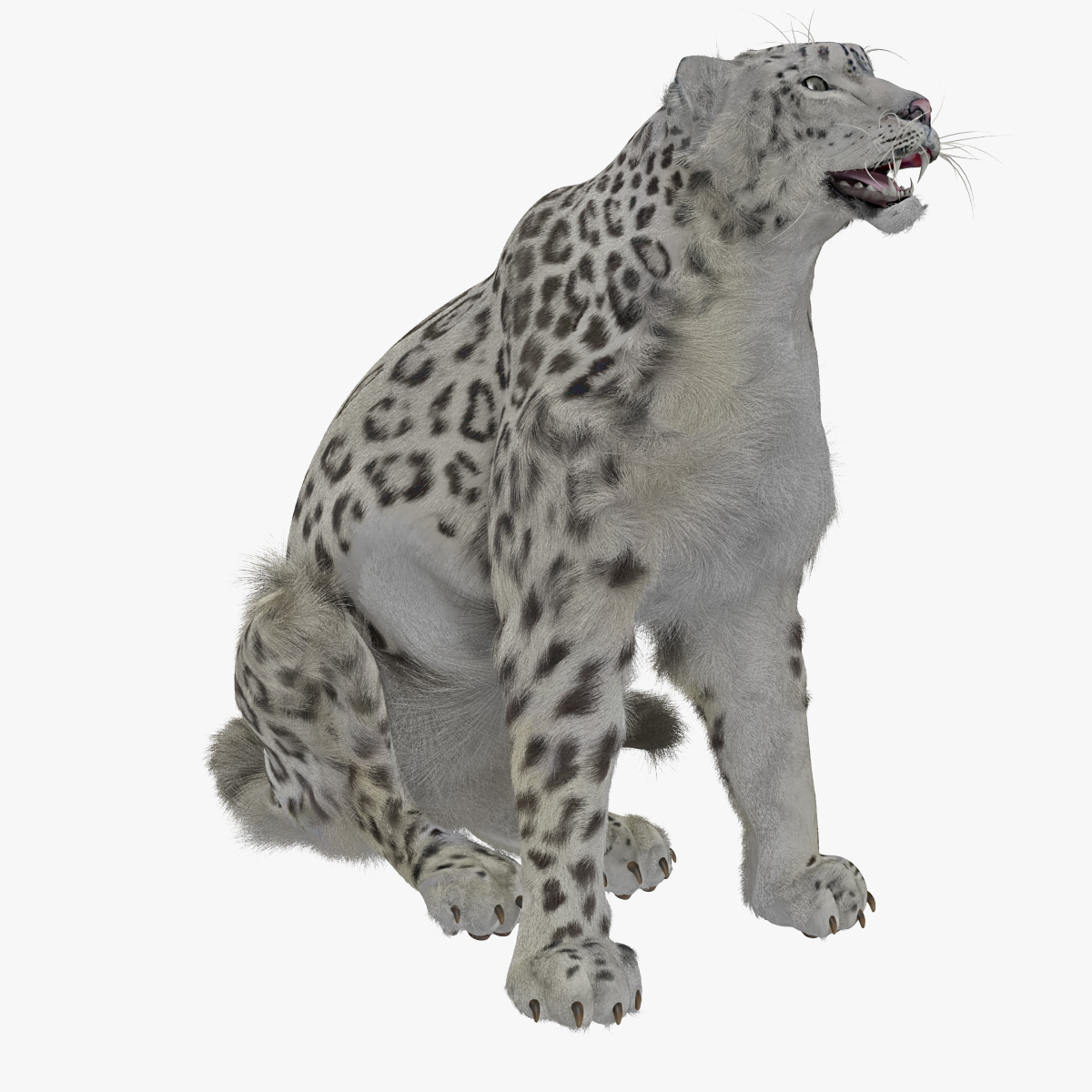 3ds max snow leopard pose