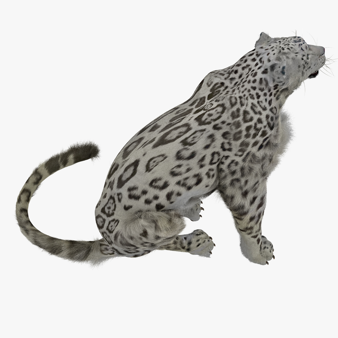 3ds max snow leopard pose
