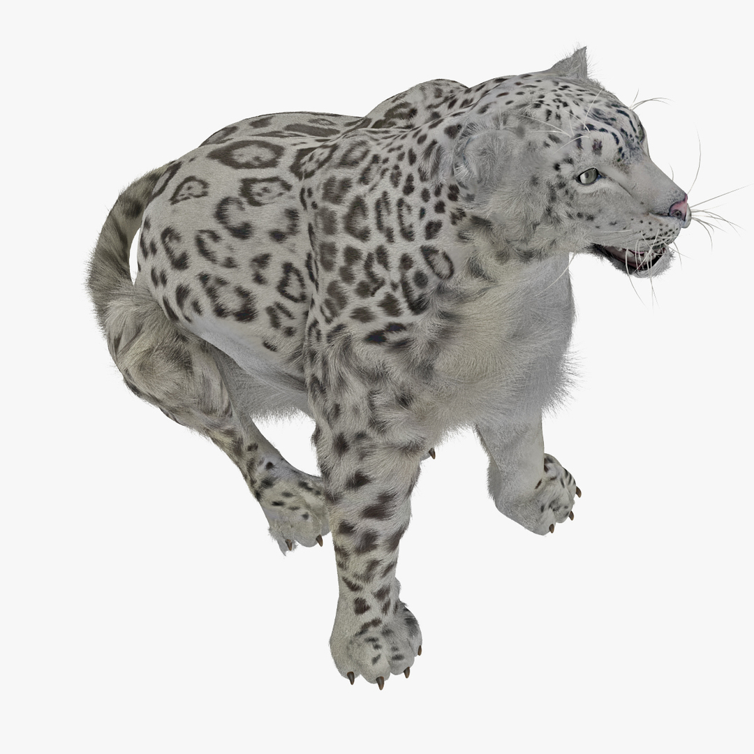 3ds max snow leopard pose