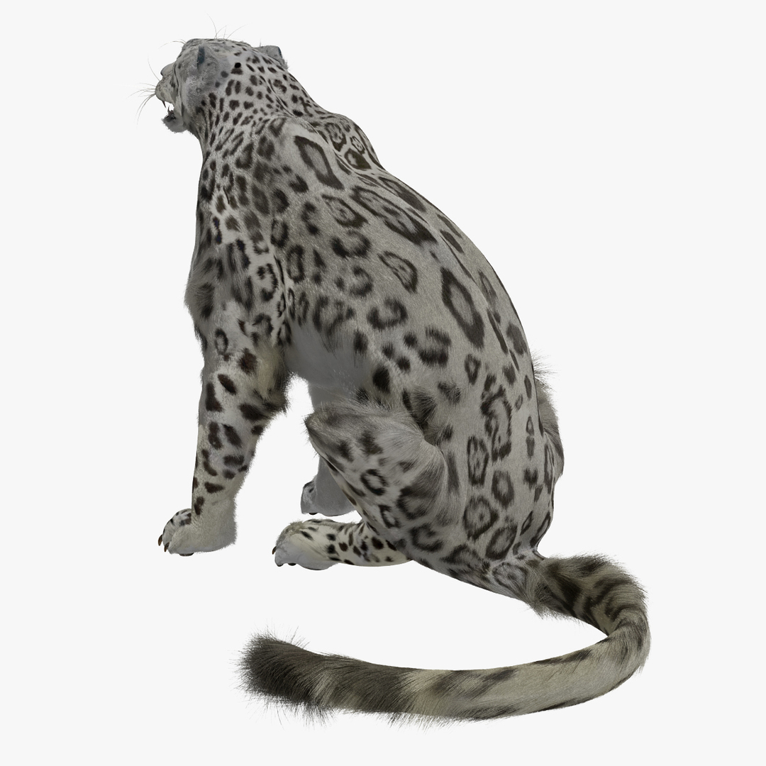 3ds max snow leopard pose