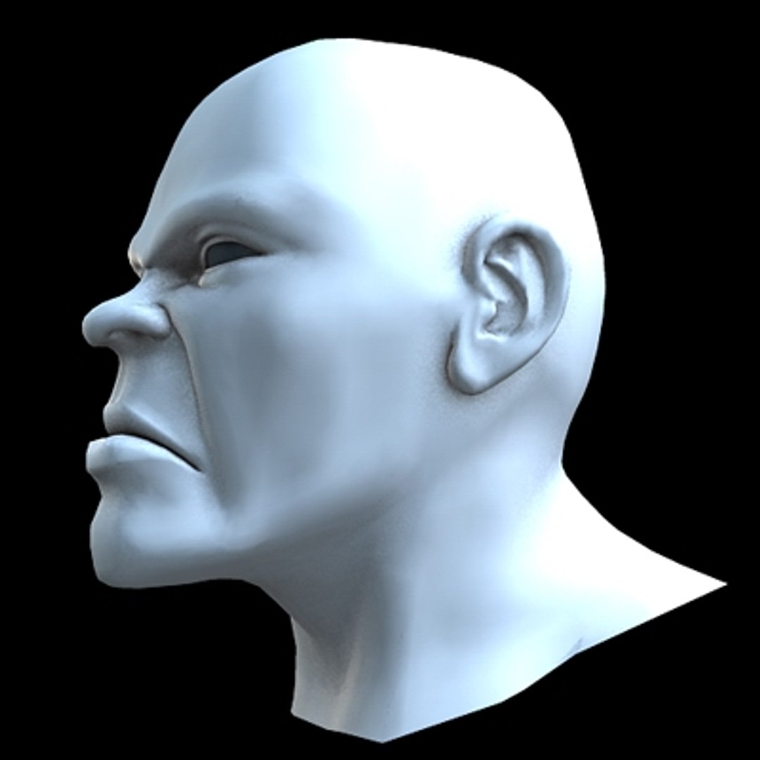 Male Head 3d Model