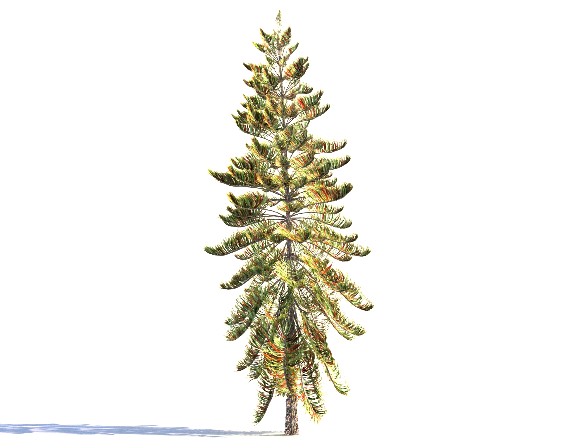 3D model prehistoric plants tree - TurboSquid 1676967